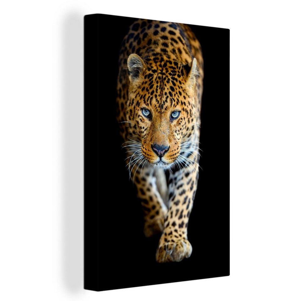 Onemillioncanvasses® Leinwandbild Leopard Tiere Porträt