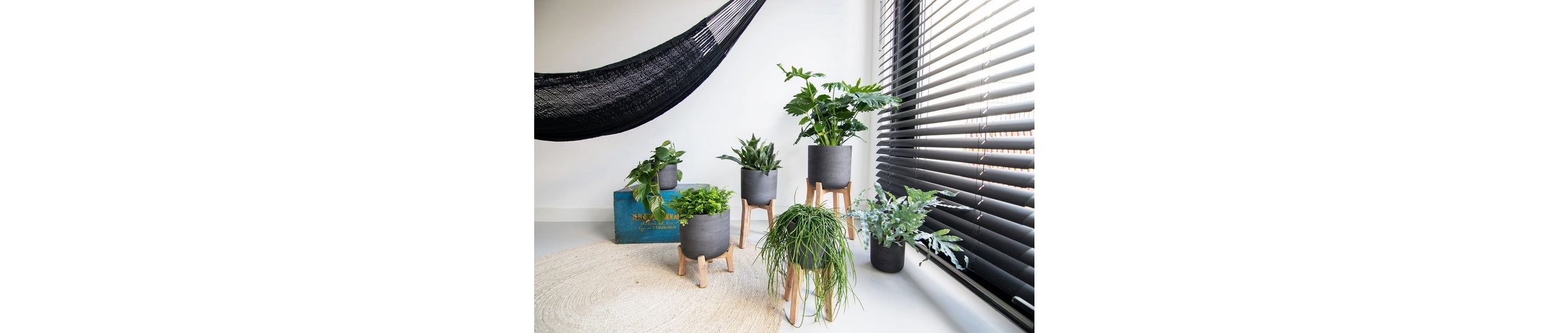 finestgreen Pflanzkübel »Charlie Feet High« kaufen | OTTO