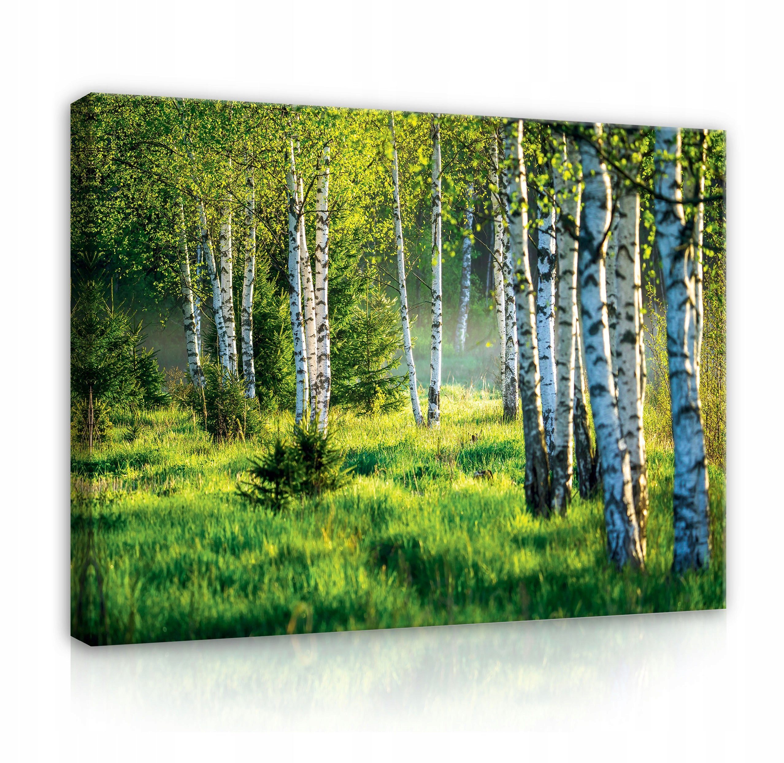 Wallarena Leinwandbild Wald Sonne Natur Grün Wandbild Groß Wandbilder ...