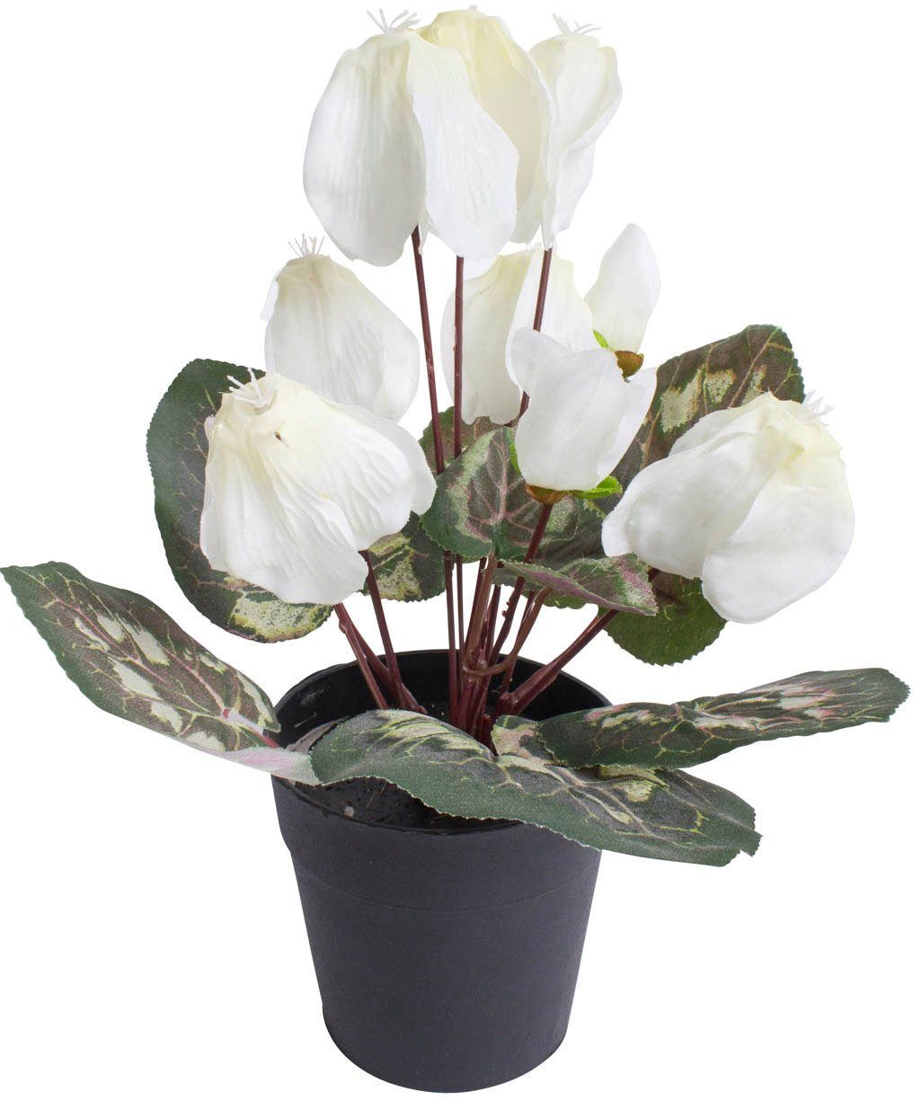 Kunstblume Alpenveilchen Botanic Haus Höhe 24 Cm Künstliche Blume