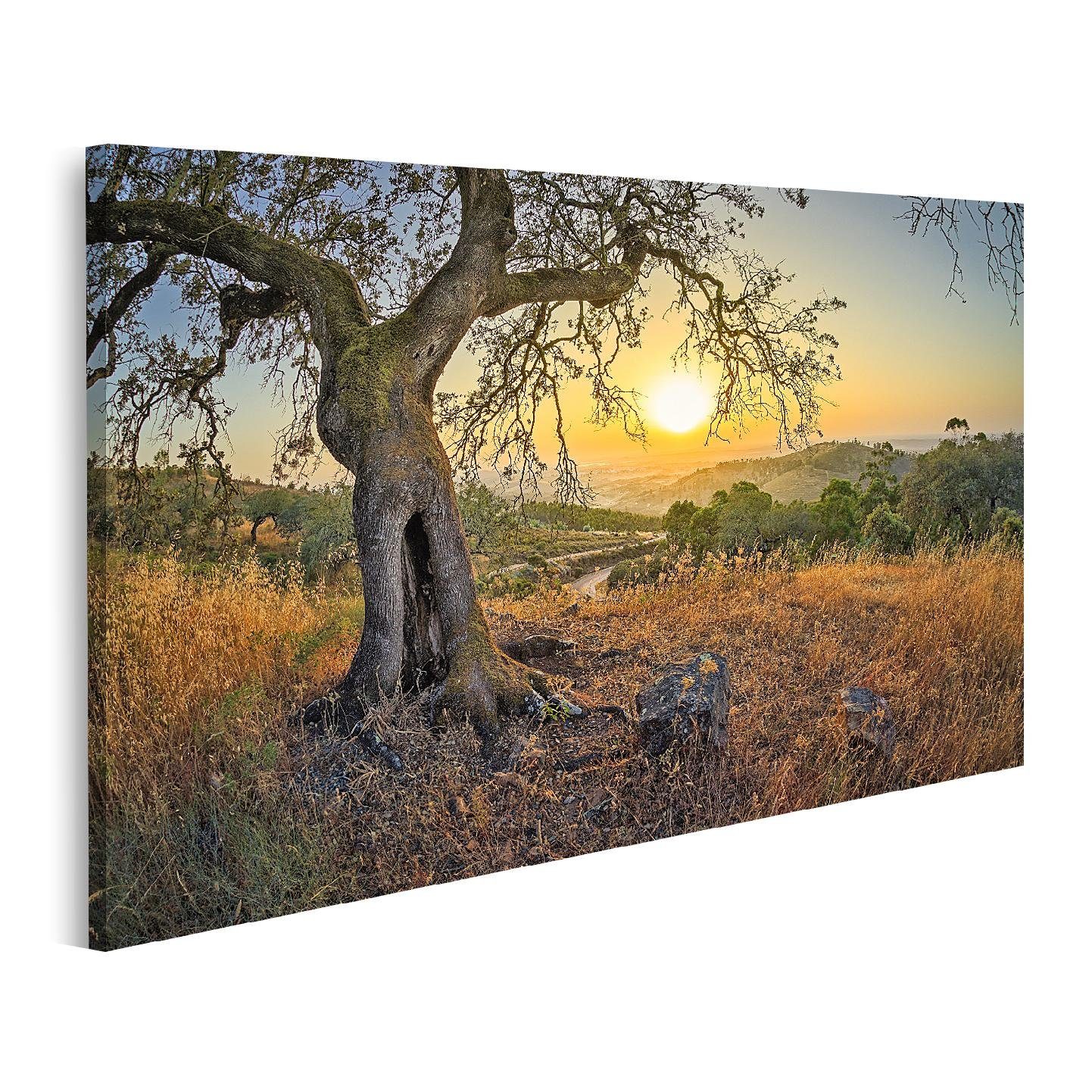 islandburner Leinwandbild Bild auf Leinwand Olivenbaum Vordergrund Straße Hintergrund Kreuzung F