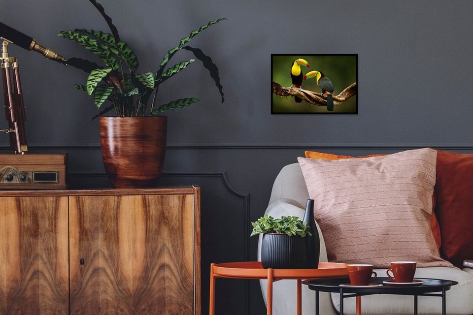 Muchowow Poster Vögel Tukan Zweig Tiere Regenbogen 1 St