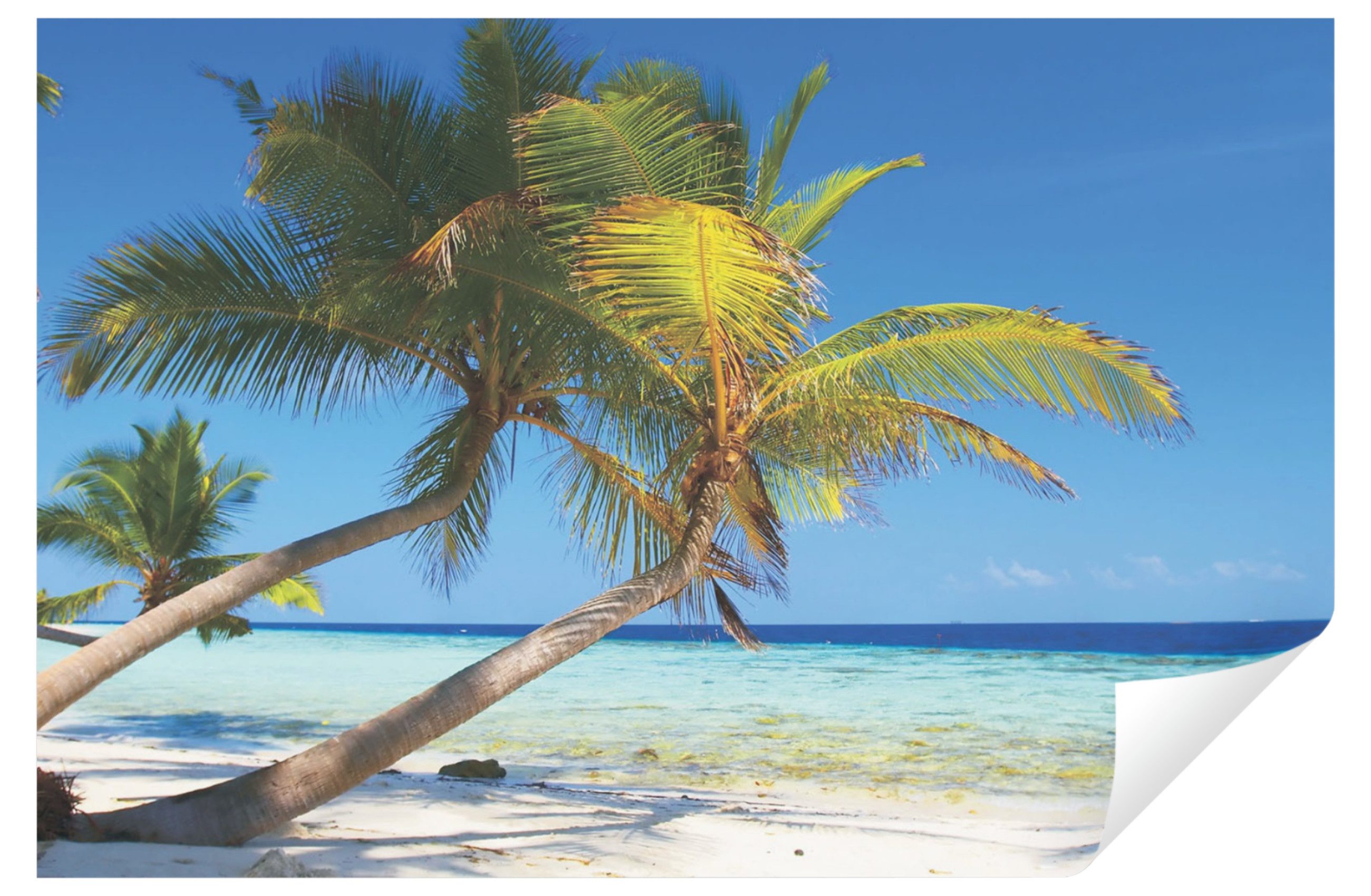 Wallarena Fototapete Strand Palmen Meer Natur 3D Vlies Tapete Wohnzimmer Schlafzimmer, Glatt ...