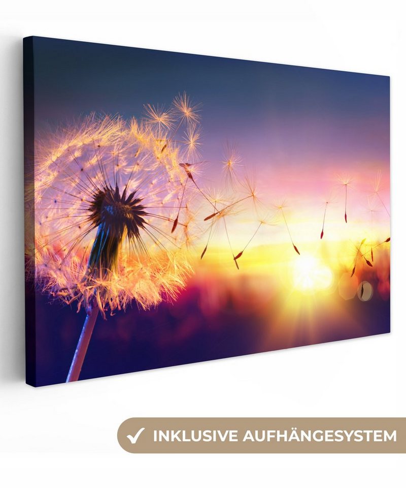 Onemillioncanvasses® Leinwandbild Löwenzahn Blumen Sonnenuntergang