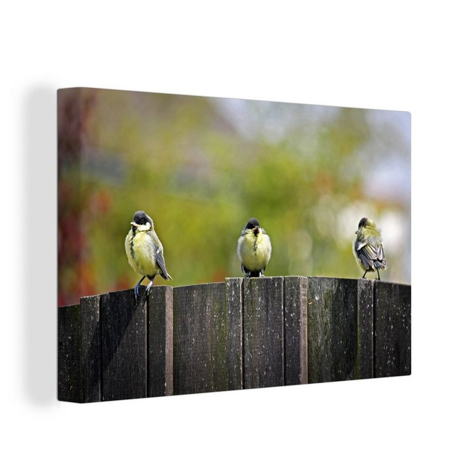 Onemillioncanvasses® Leinwandbild Drei Junge Tolle Titten Sitzen Auf