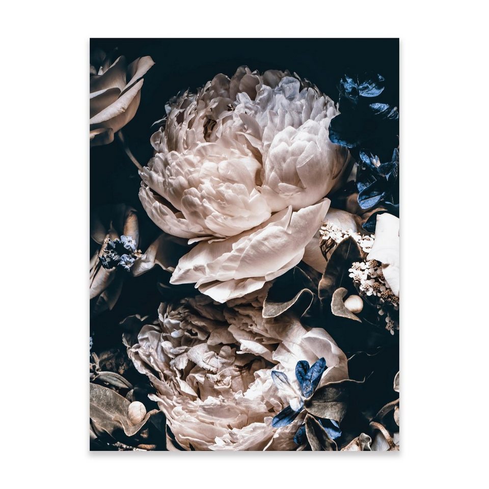 Wallarena Poster Blumen Schwarz Wohnzimmer Schlafzimmer Kunstdruck