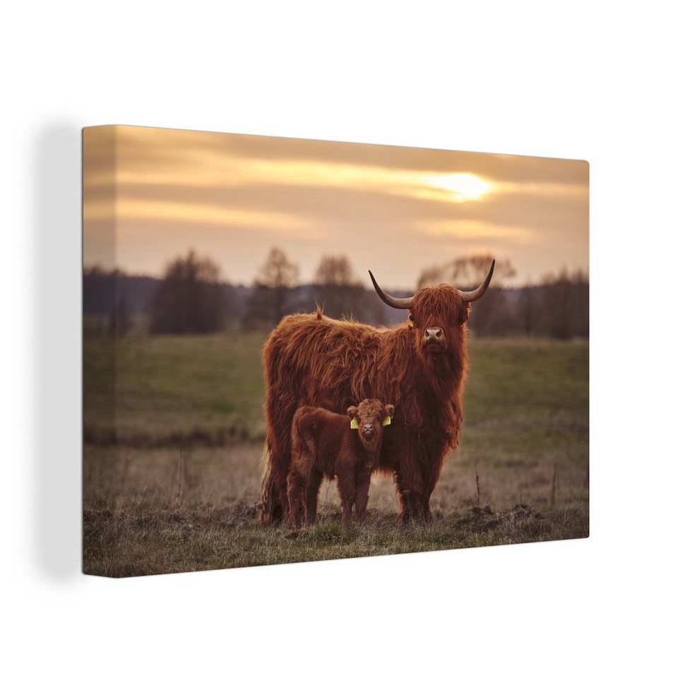 Onemillioncanvasses® Leinwandbild Schottische Hochlandrind Tiere
