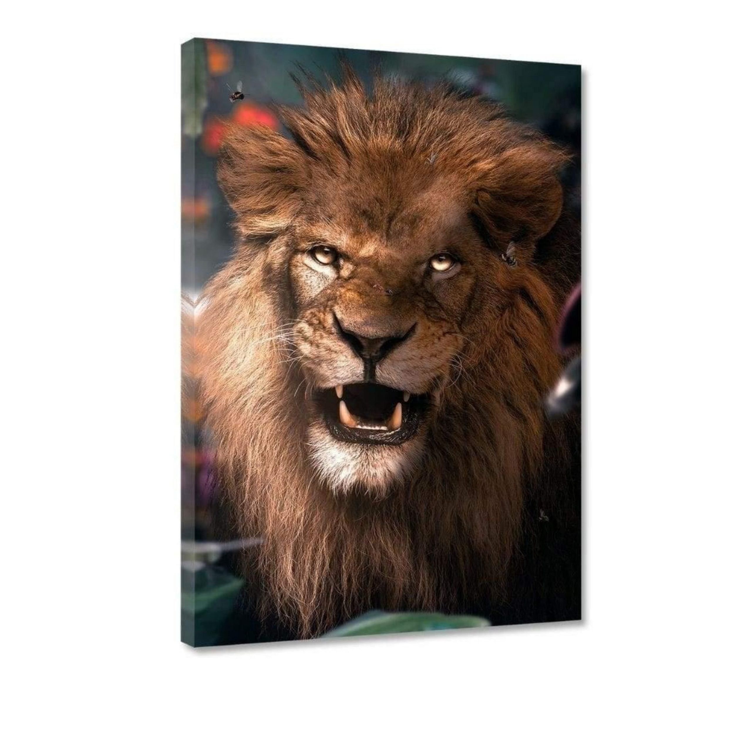 Hustling Sharks Leinwandbild Löwen Bild Als Xxl Leinwandbild Wild Lion