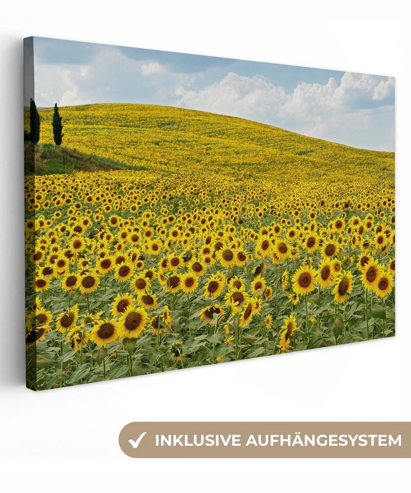 Onemillioncanvasses® Leinwandbild Sonnenblumen In Der Toskana 1 St