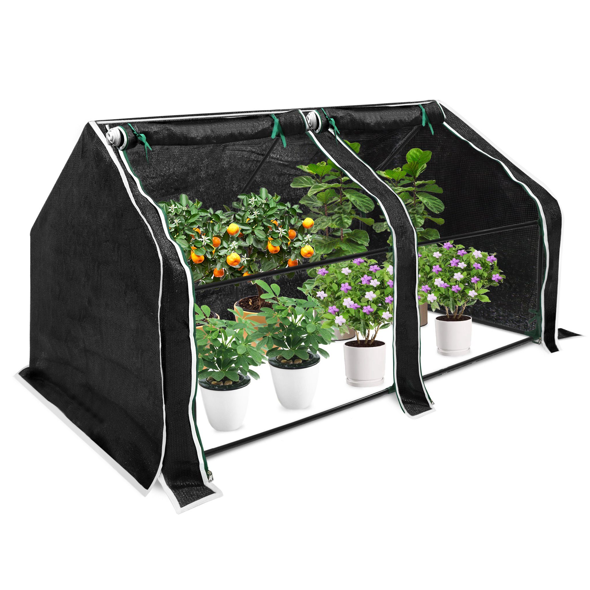 AUFUN Gewächshaustür Tomatenhaus mit Aufrollbare Tür, 180×90×90 cm