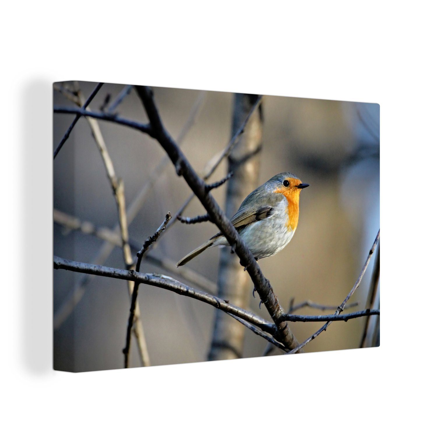 Onemillioncanvasses® Leinwandbild Rotkehlchen Vogel Zweige