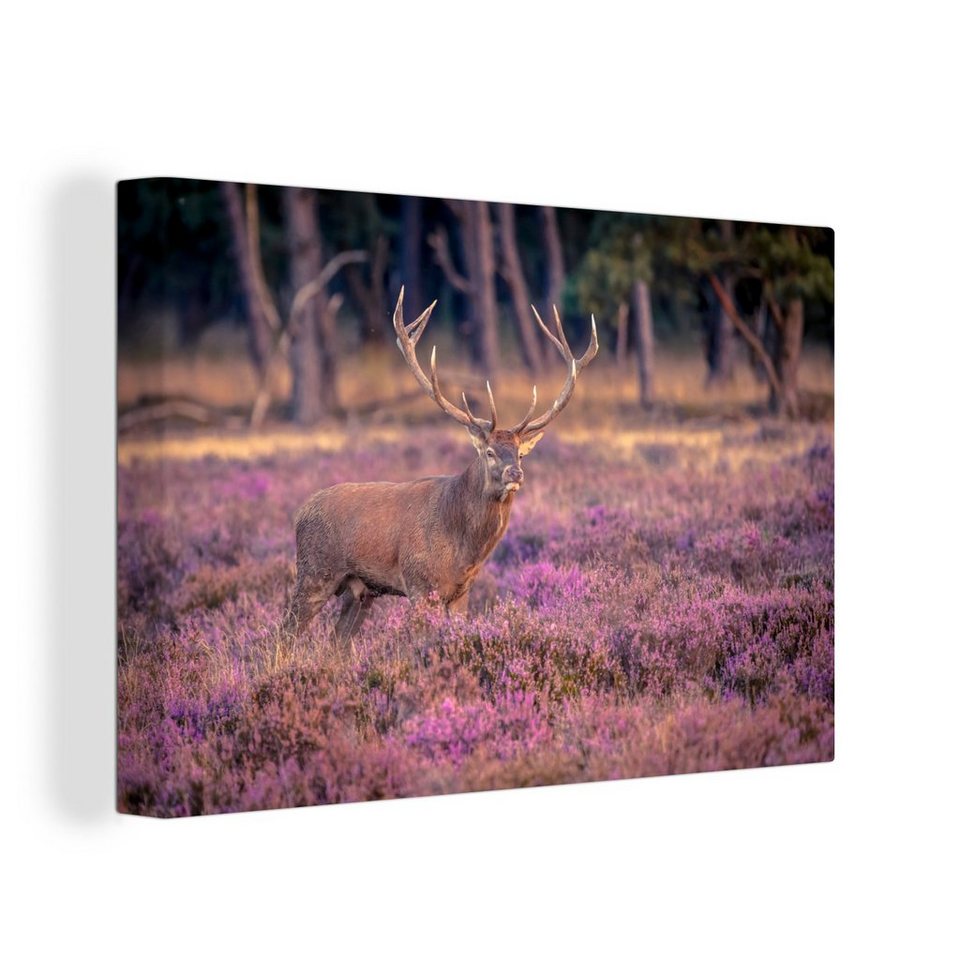 Onemillioncanvasses® Leinwandbild Hirsche Blumen Niederlande 1