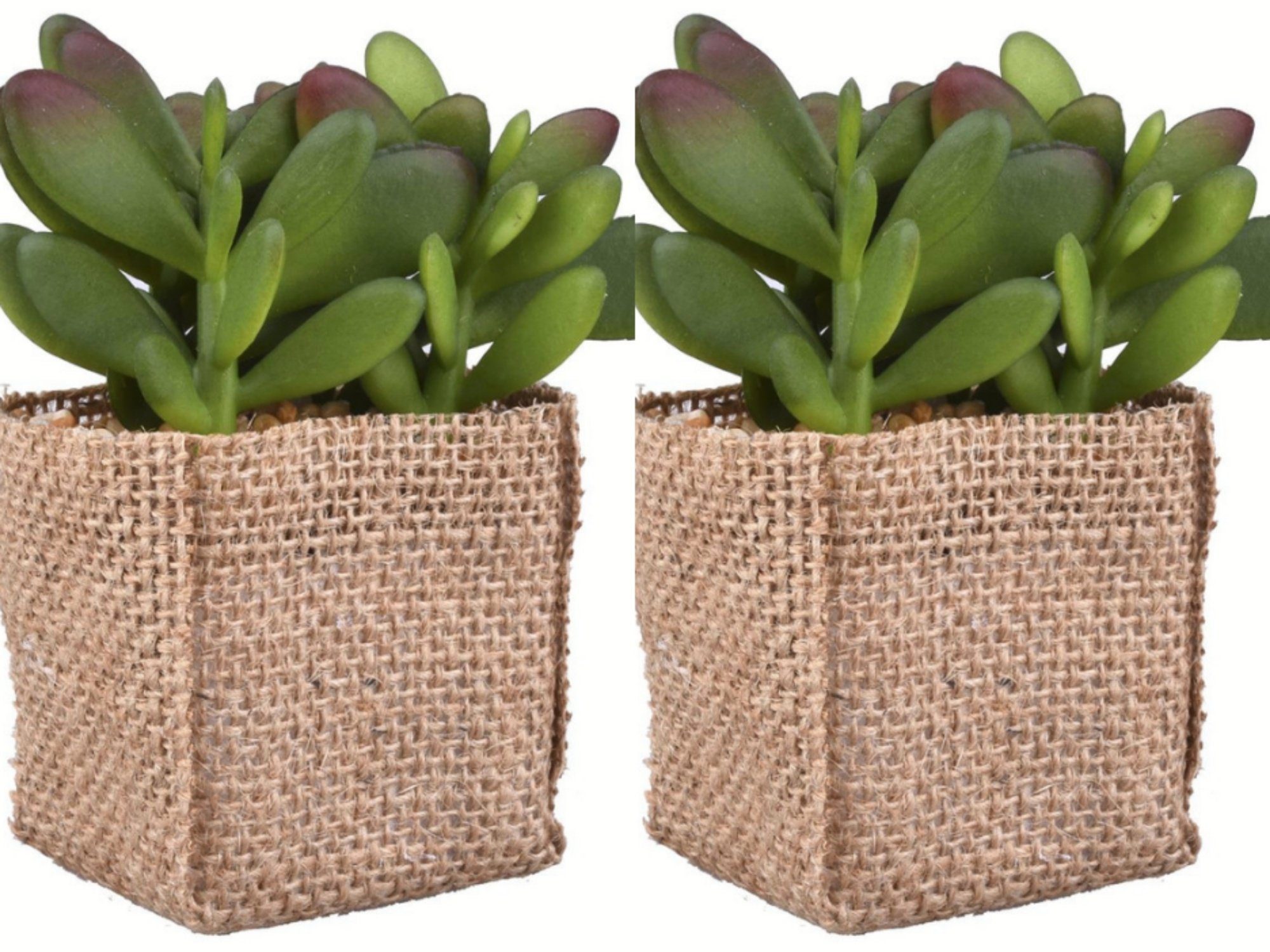Kunstblume 2er Set Deko Kunstblumen Sukkulente Grün Klein Natürlich 11