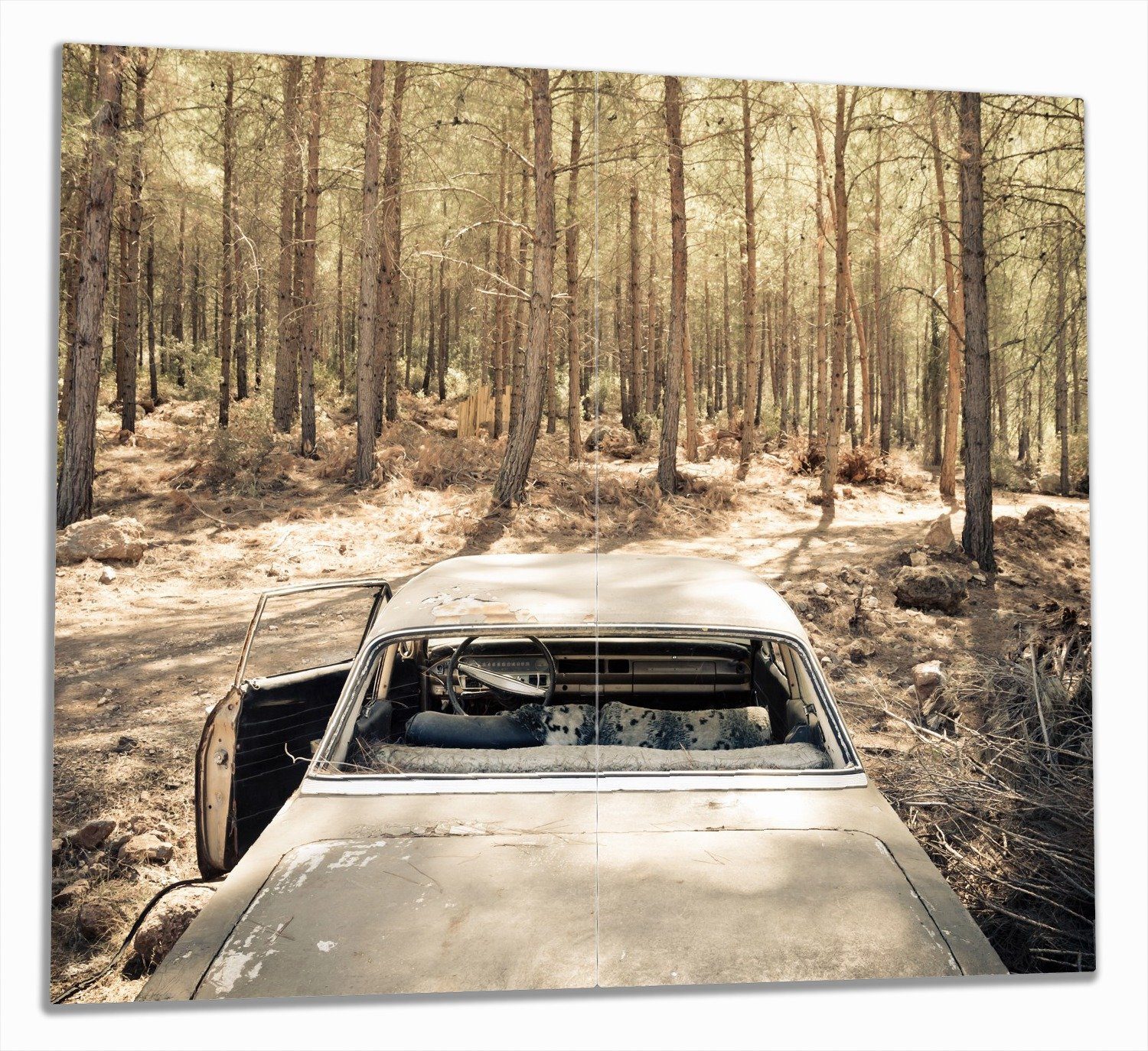 Wallario Herd Abdeckplatte Verrosteter Oldtimer Im Wald Esg