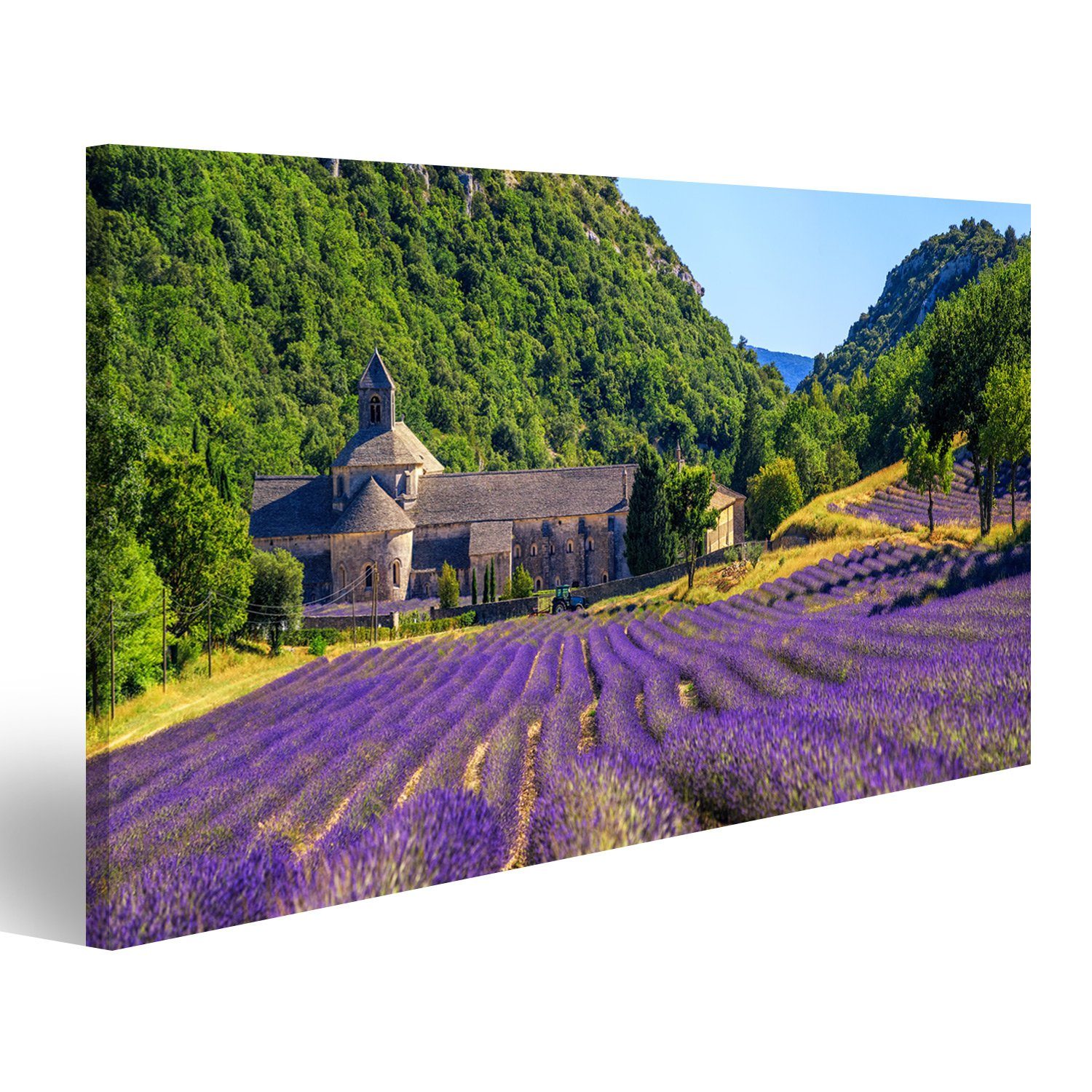 islandburner Leinwandbild »Bild auf Leinwand Blühendes Lila Lavendelfeld In Der Senanque Abtei ...
