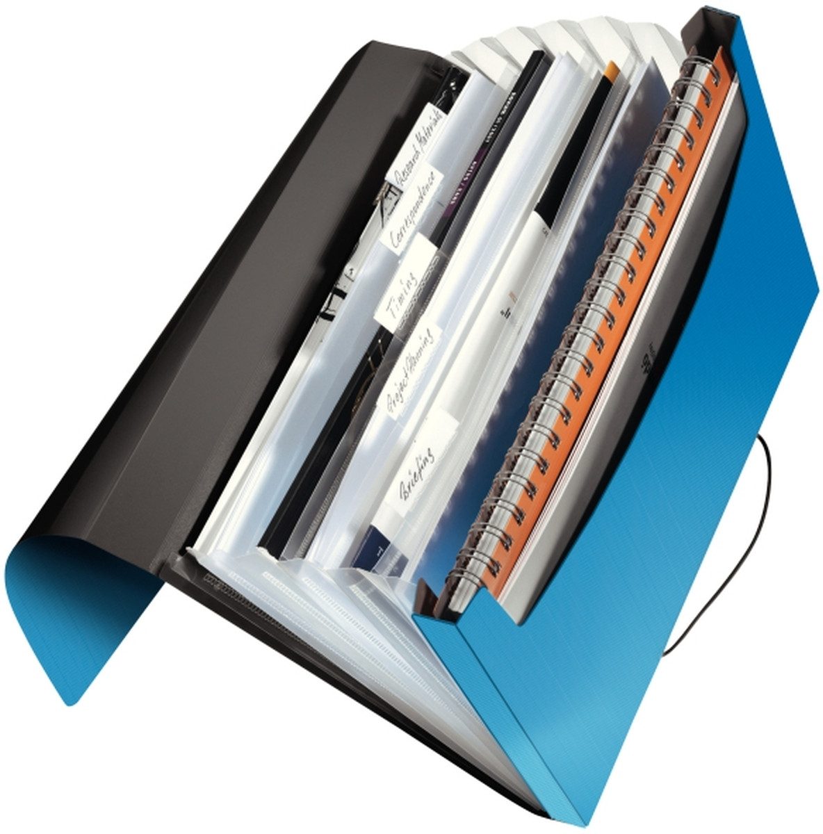 LEITZ Fächermappe, Qualitäts-Projektmappe im zeitlosen Solid Design und ...