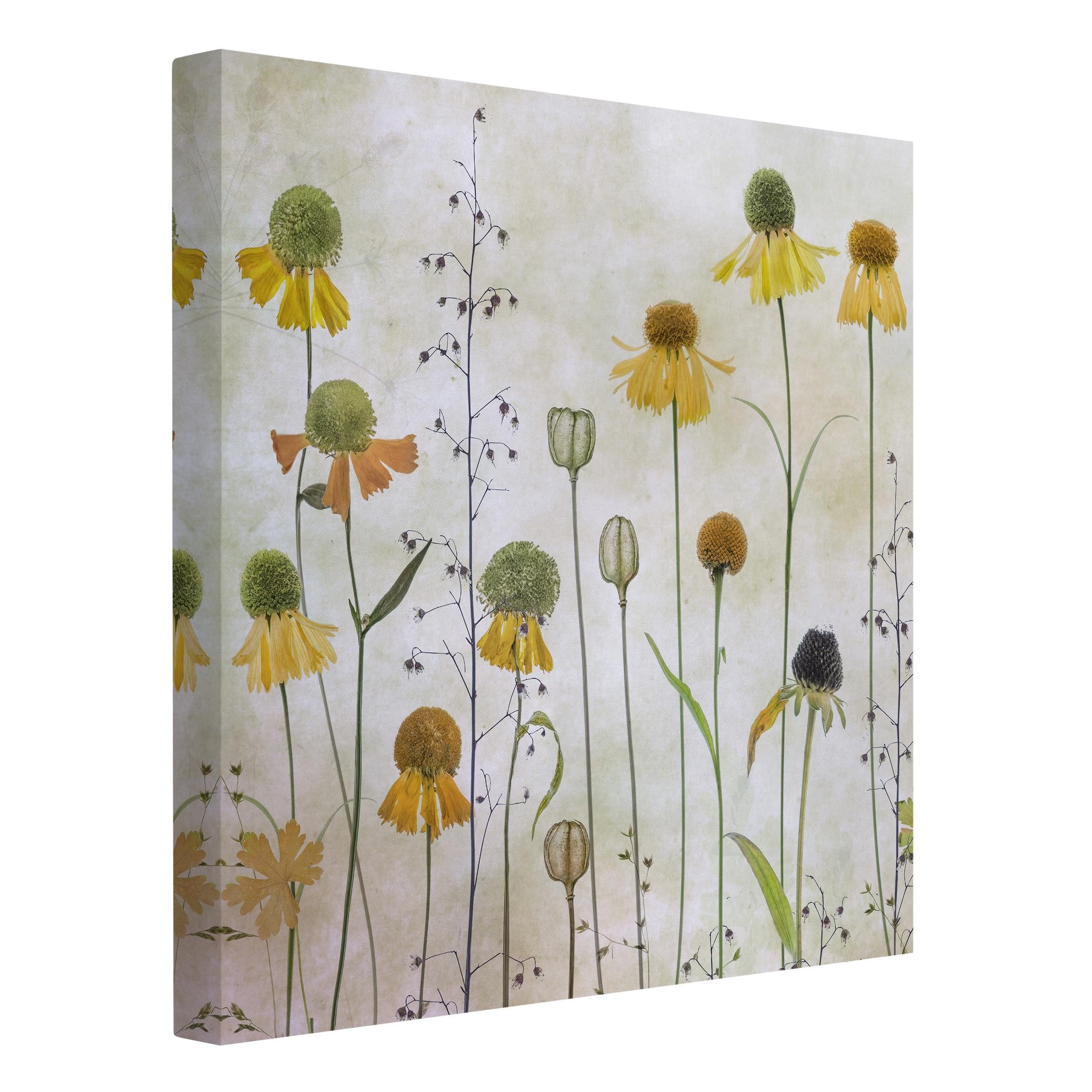 Bilderdepot24 Leinwandbild Vintage Retro Modern Blumen Helenium beige Bild auf Leinwand Groß XXL ...