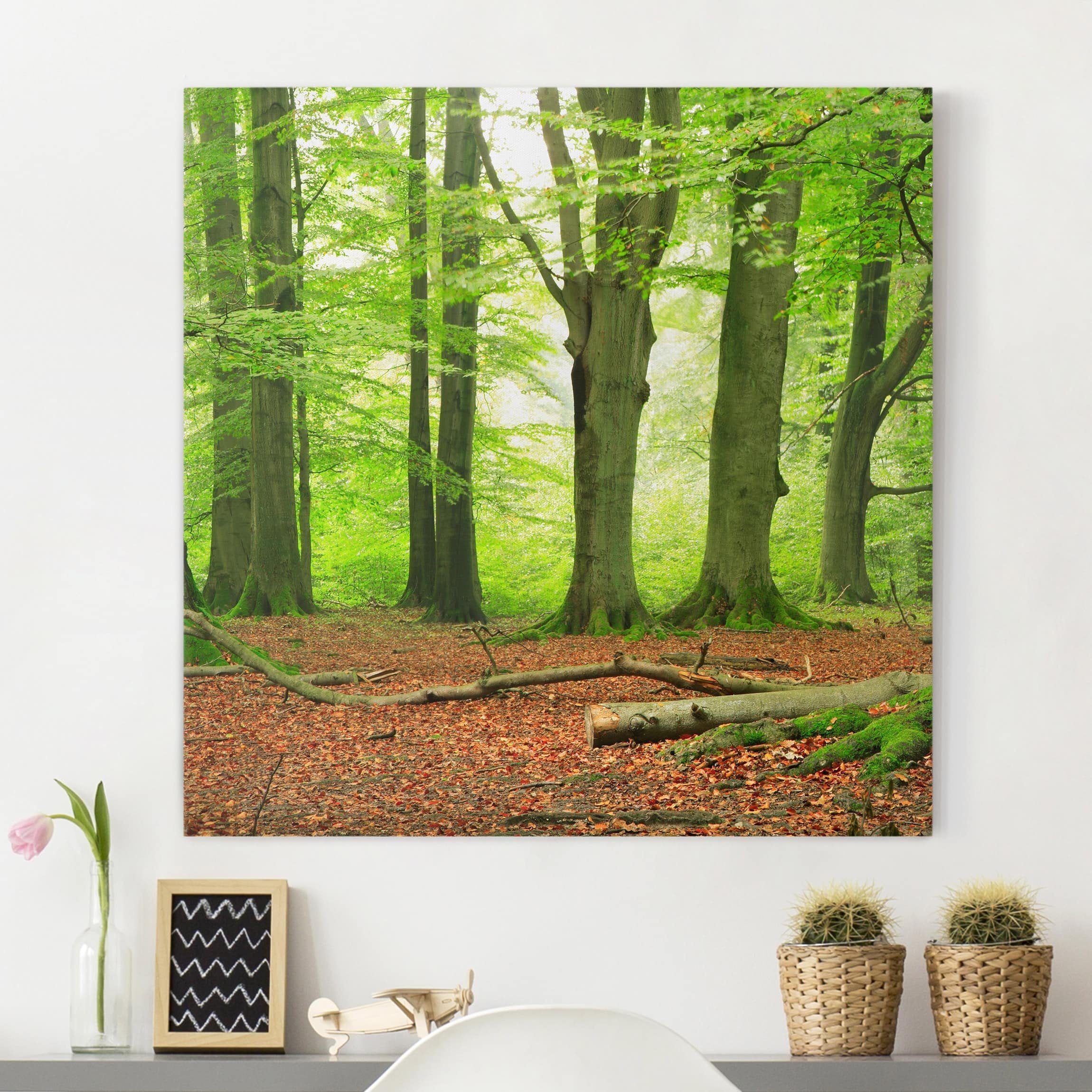 Bilderdepot24 Leinwandbild Wald Natur Modern Mighty Beech Trees grün Bild auf Leinwand Groß XXL ...