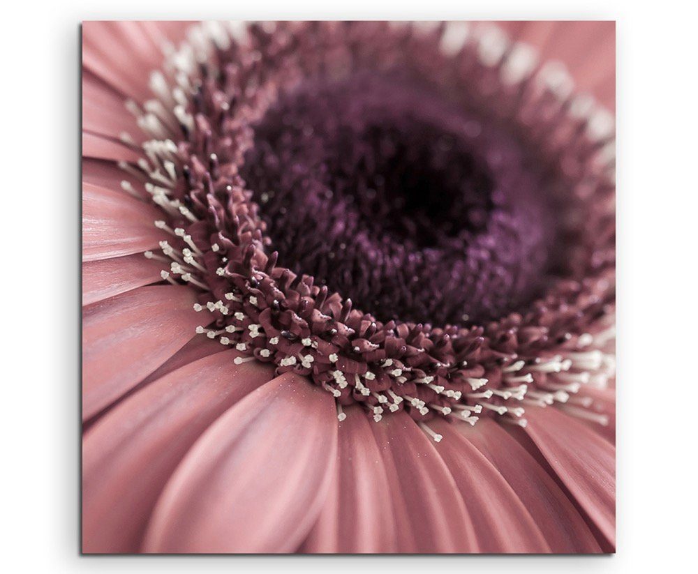 Bilder Altrosa online kaufen | OTTO