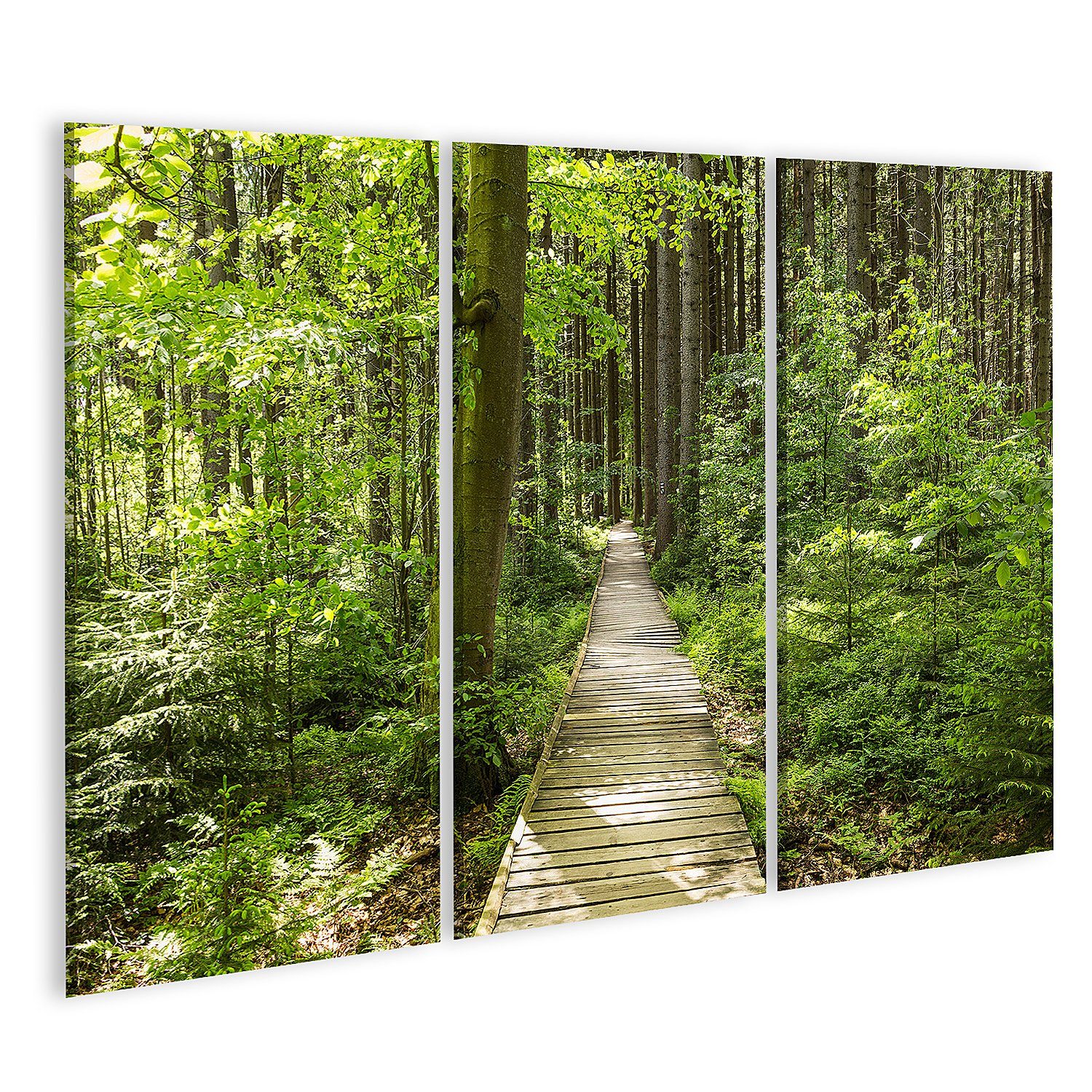 islandburner Leinwandbild Bild auf Leinwand Wald Pfad Bäume Grüne Blätter Wandbild Poster ...