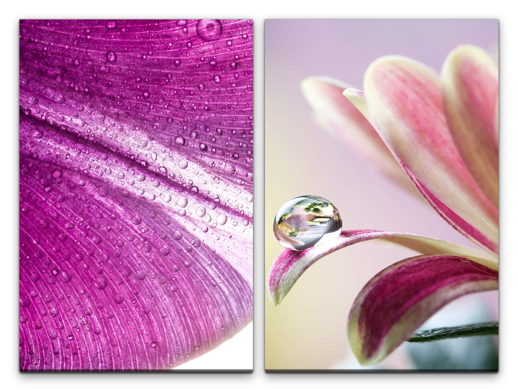 Sinus Art Leinwandbild 2 Bilder Je 60x90cm Orchidee Blüten Blumen
