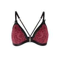 Erotische BHs für Damen online kaufen | OTTO