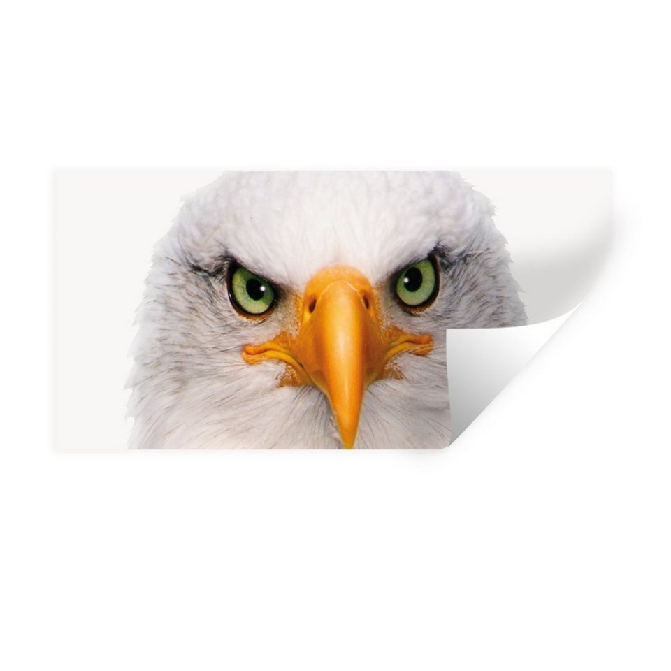 Muchowow Wandsticker Jungen Adler Amerikanischer Weißkopfseeadler