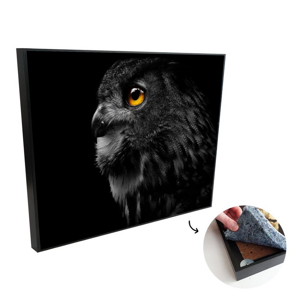 Muchowow Akustikplatte Eule Vogel Schwarz Porträt 1 St