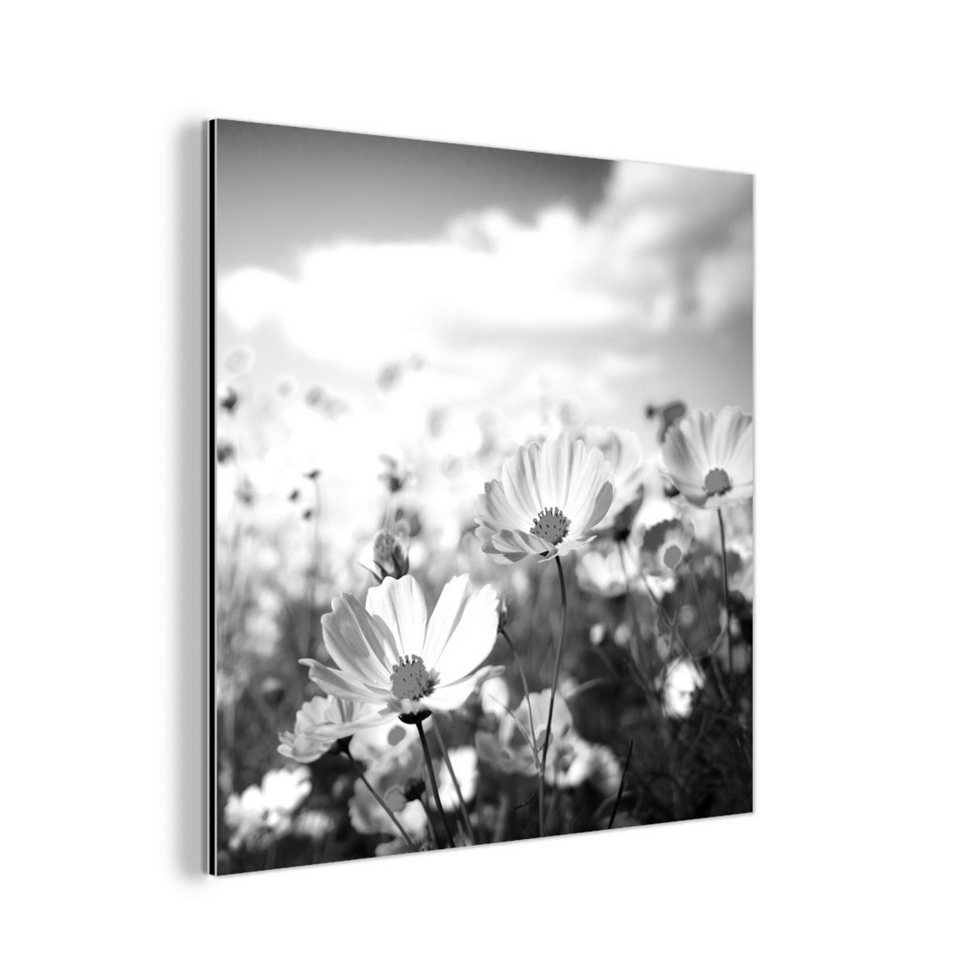 Muchowow Metallbild Blumen Wiese Lila Gras Weiß Wolken Blau