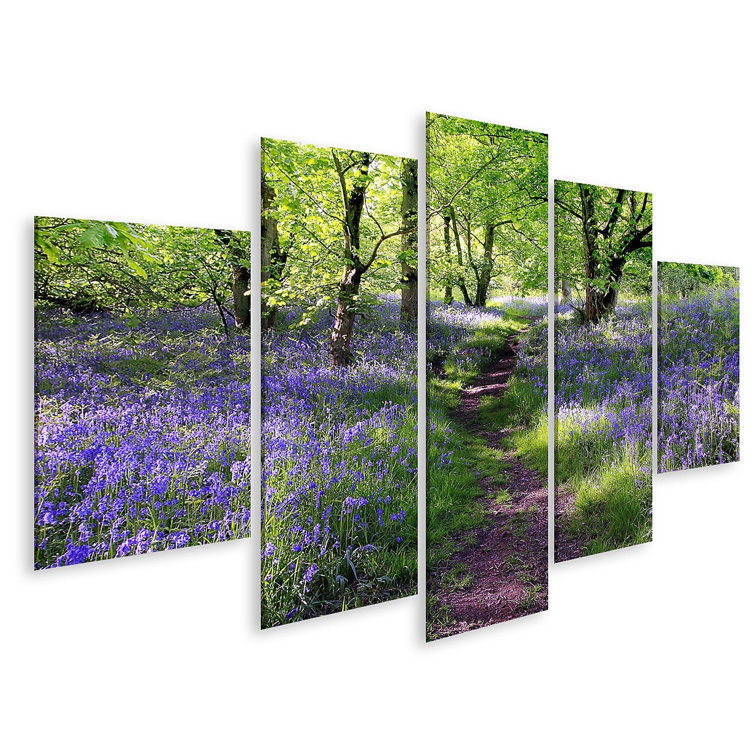 islandburner Leinwandbild Bild auf Leinwand Blaue Glocken Wald in Schottland Wandbild Poster Kun