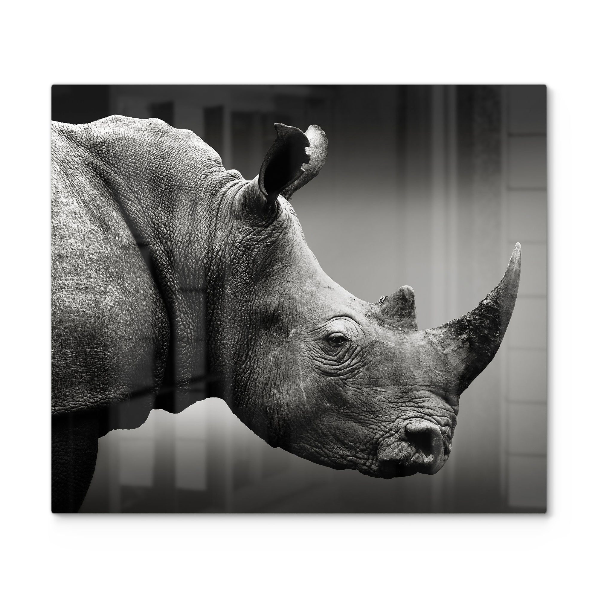 Deqori Herdblende Abdeckplatte Nashorn Im Profil Glas 1 Tlg