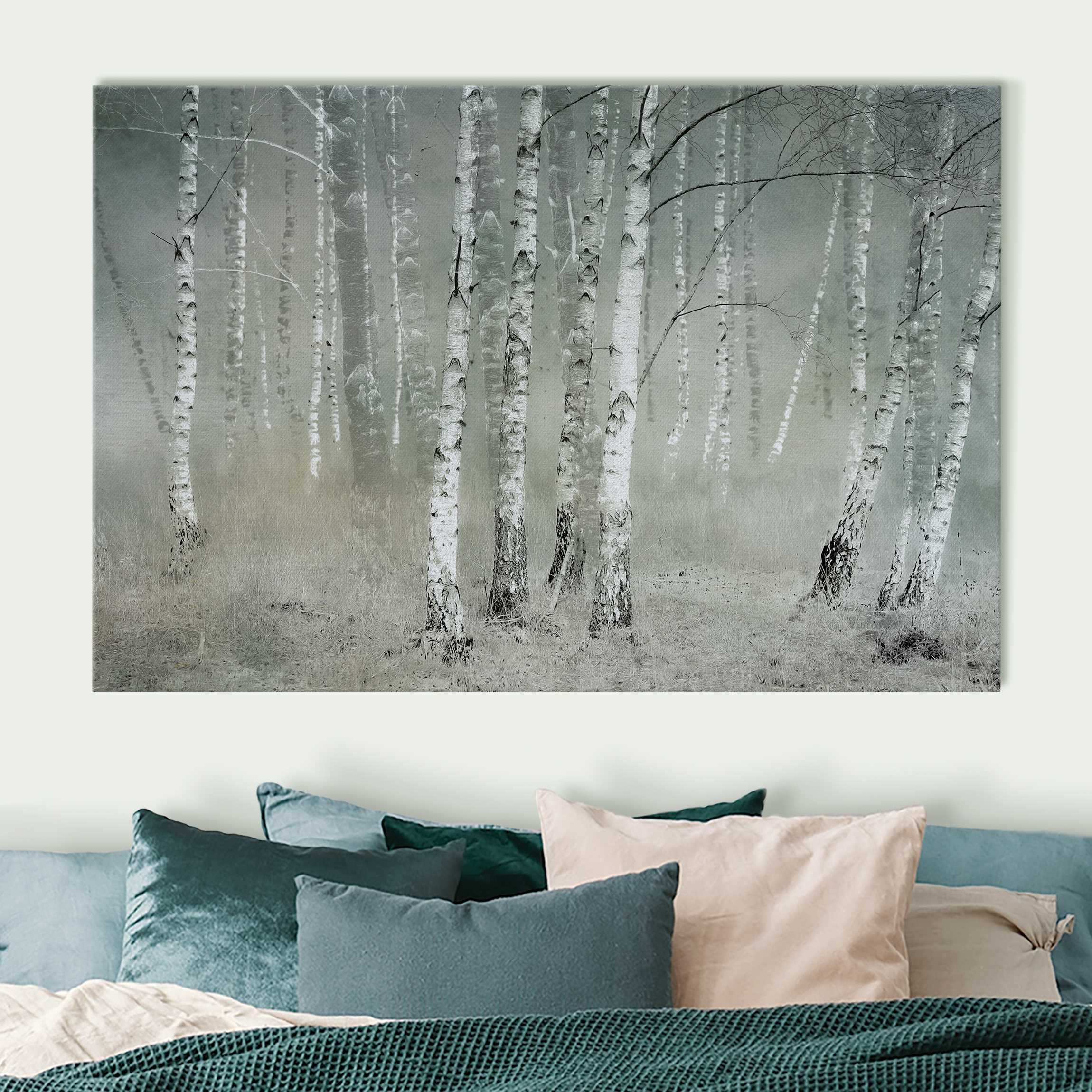 Bilderdepot24 Leinwandbild Akustikbild Wald Natur Landschaft Ruhender Birkenwald Akustik Bilder ...