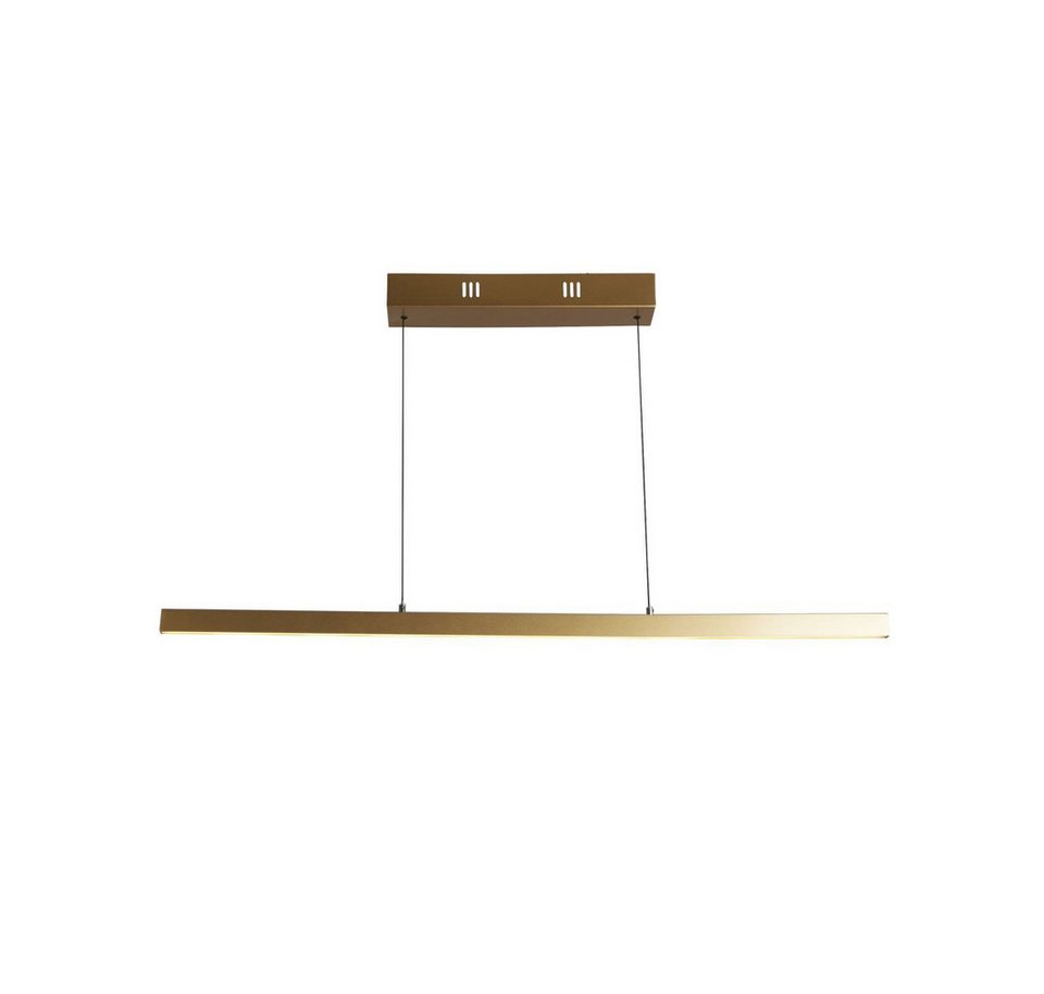 Licht Erlebnisse Pendelleuchte Simmi Led Fest Integriert Led Metall