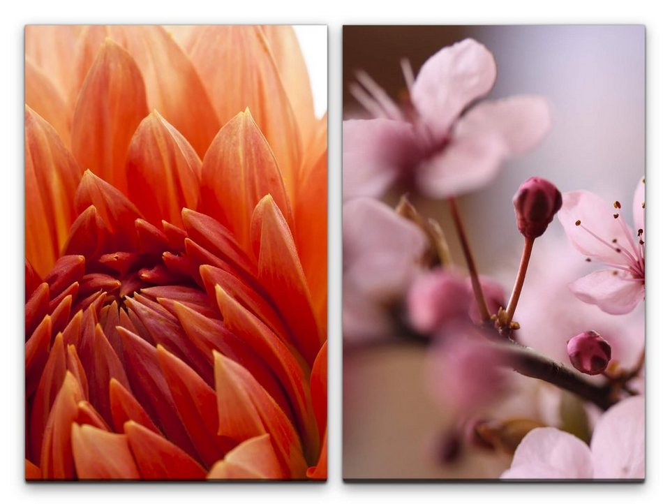 Sinus Art Leinwandbild 2 Bilder Je 60x90cm Blüte Rote Blume Kirschbaum