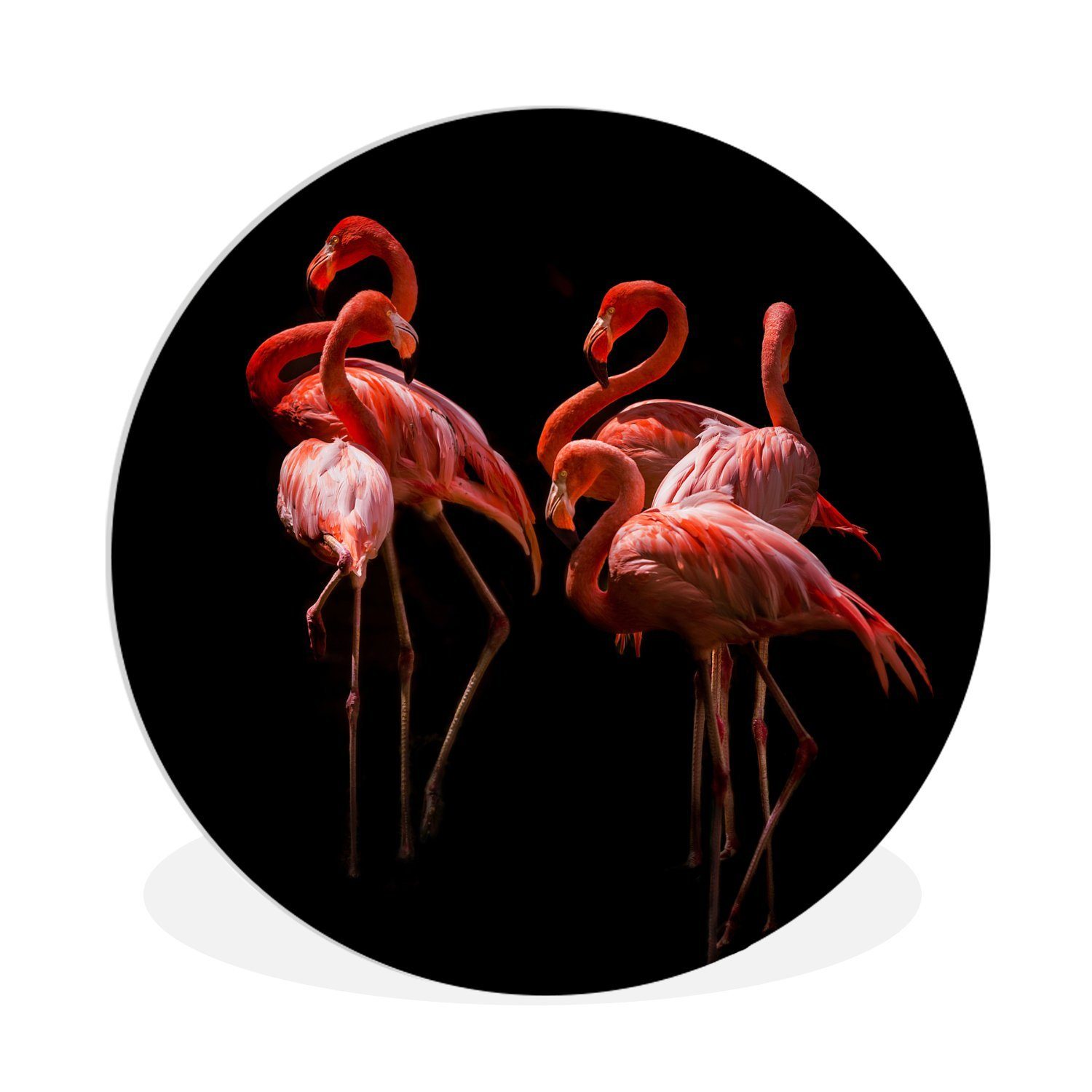 Muchowow Gemälde Flamingo Rosa Schwarz Fotodruck 1 St Kreis