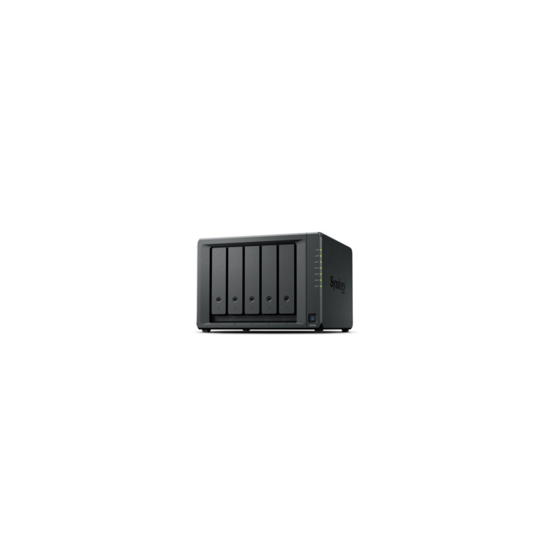 Synology DX525 NAS-Server
