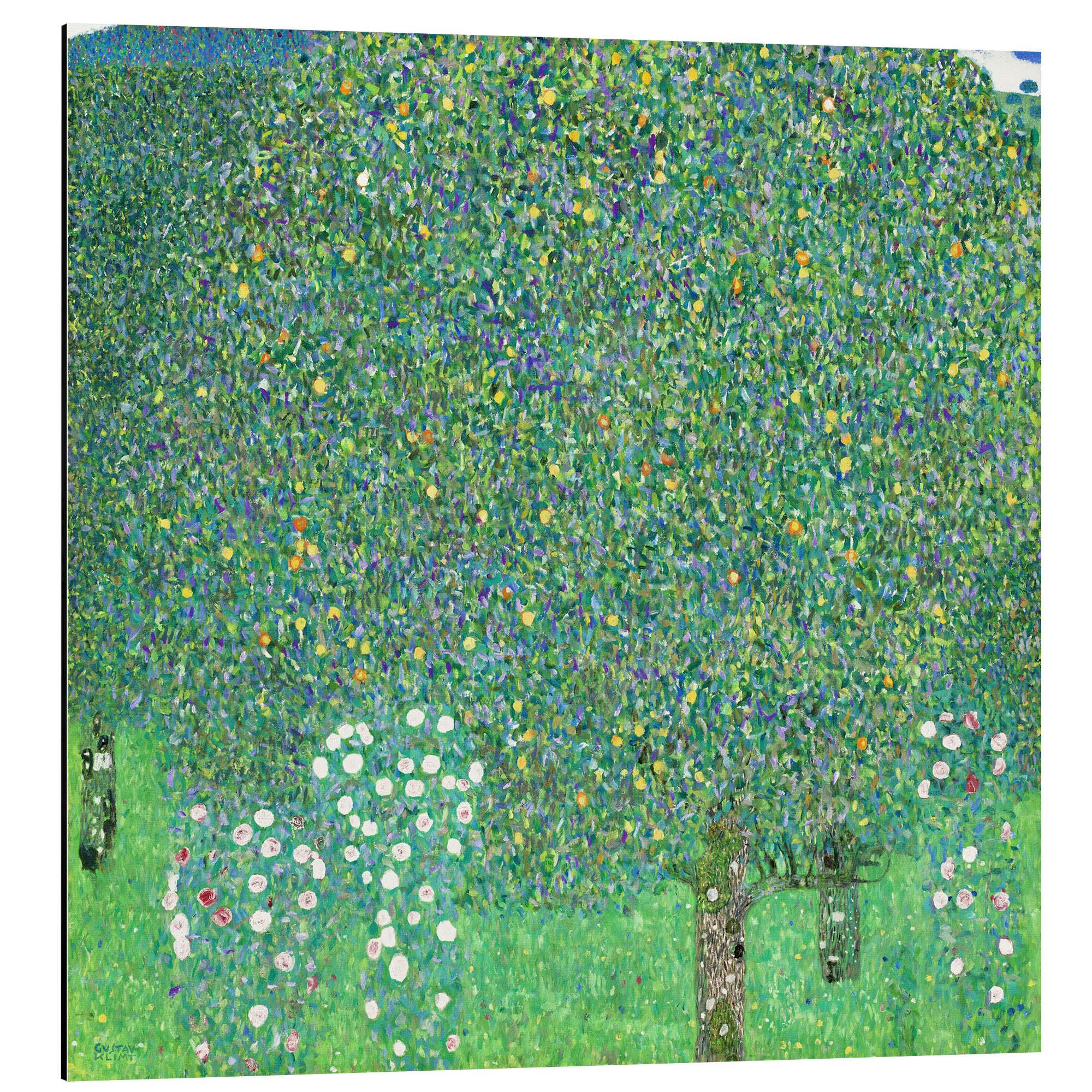 Posterlounge Alu Dibond Druck Gustav Klimt Rosen Unter Bäumen