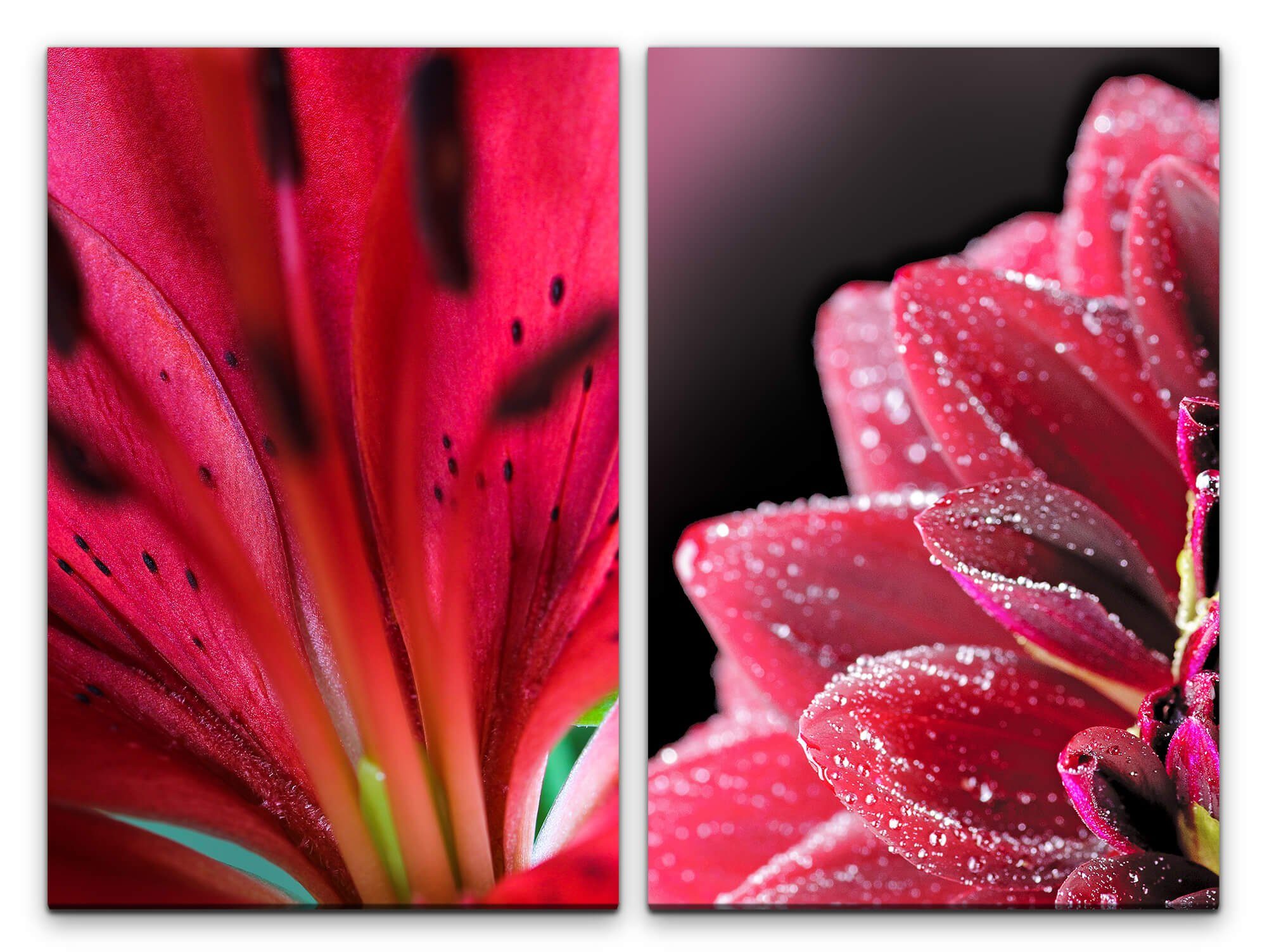 Sinus Art Leinwandbild 2 Bilder Je 60x90cm Orchidee Zinnien Rote Blumen