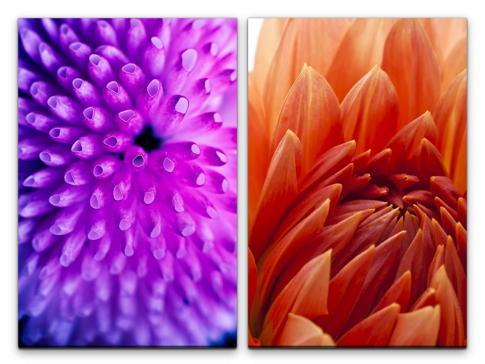 Sinus Art Leinwandbild 2 Bilder Je 60x90cm Dahlie Blumen Blüten Sanft