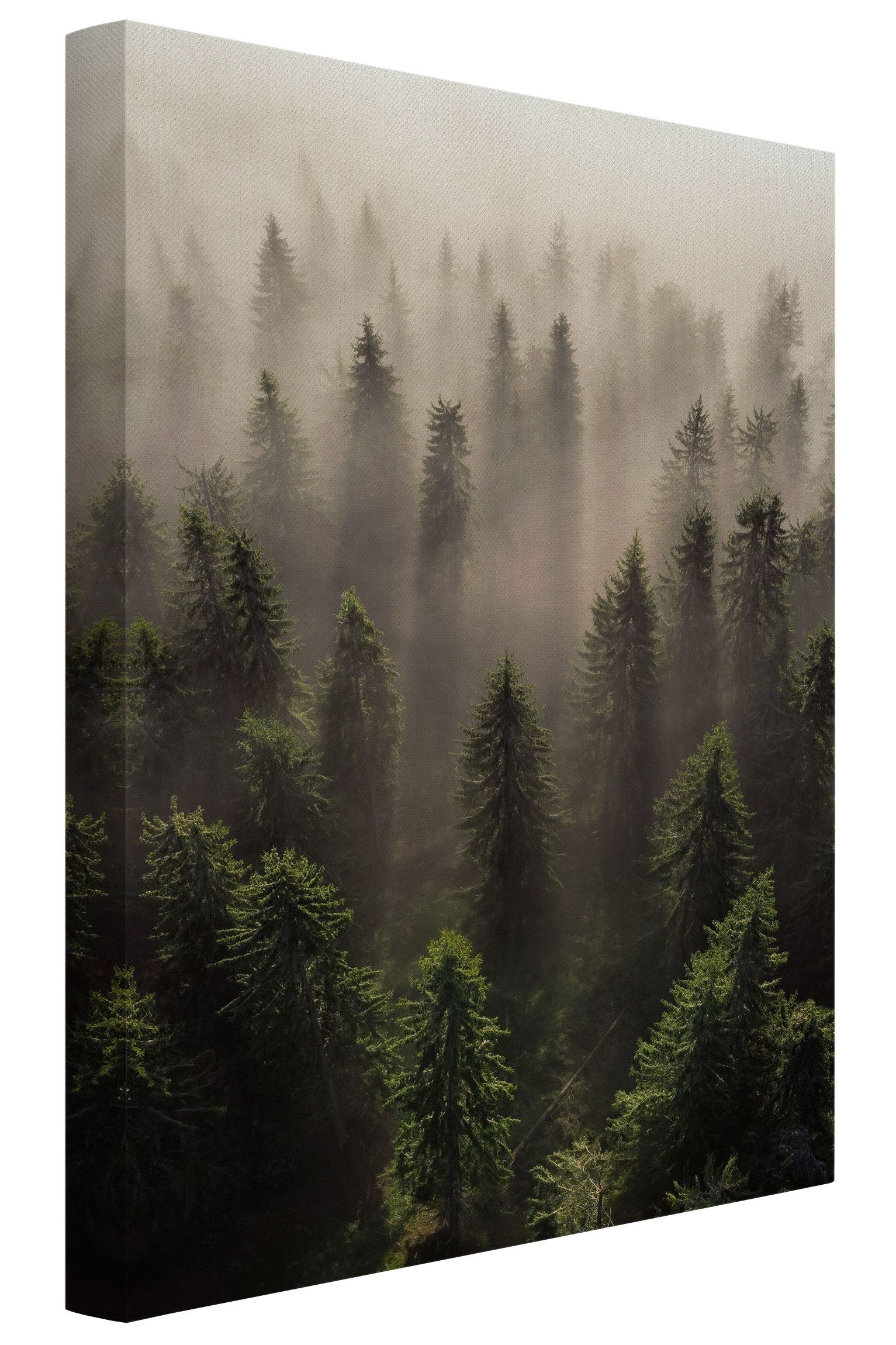 Bilderdepot24 Leinwandbild Akustikbild Wald Natur Landschaft Nebel Sonne Akustik Bilder ...