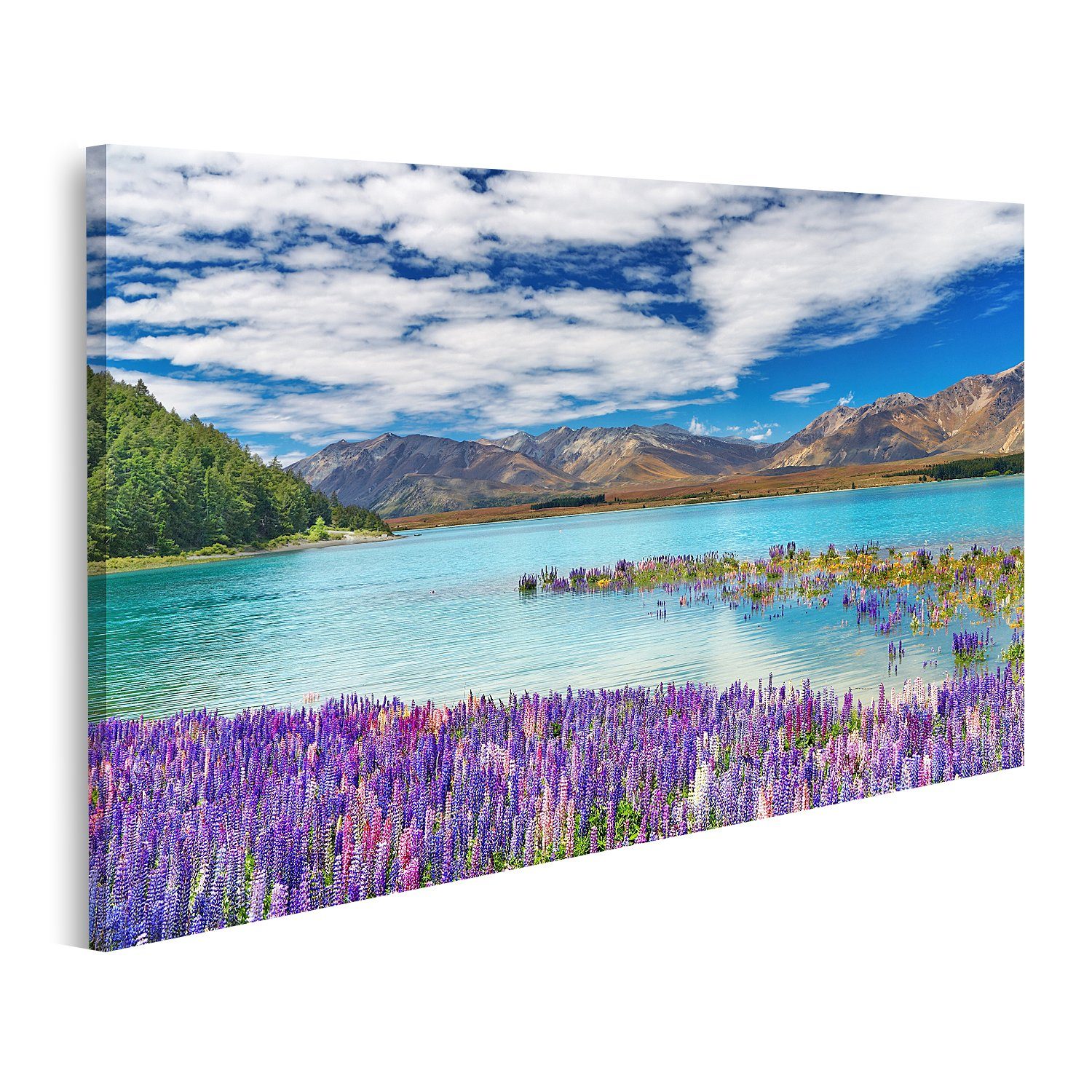 islandburner Leinwandbild Bild auf Leinwand Lake Tekapo Südinsel Neuseeland Wandbild Poster Kuns
