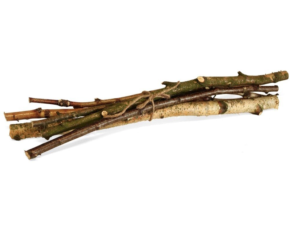 Matches21 Home And Hobby Bastelnaturmaterial Dekozweige Birke Länge 50 Cm