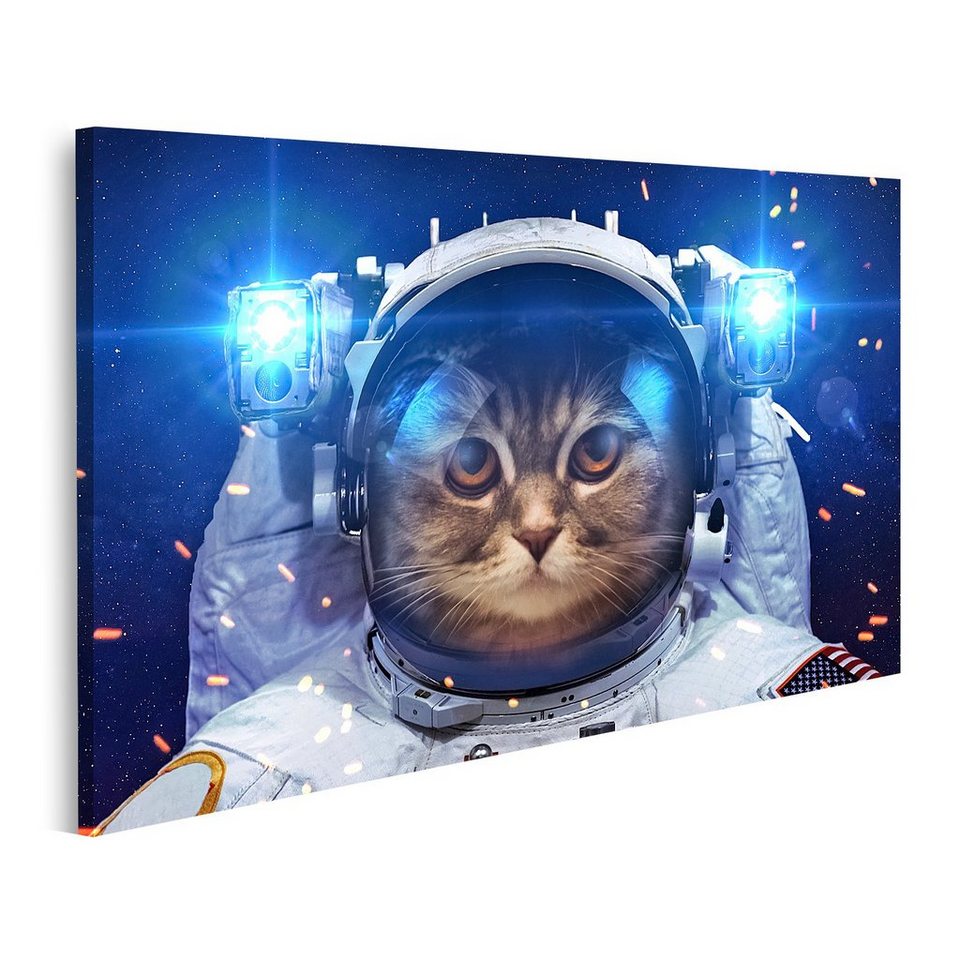 Islandburner Leinwandbild Bild Auf Leinwand Schöne Katze Im Weltraum