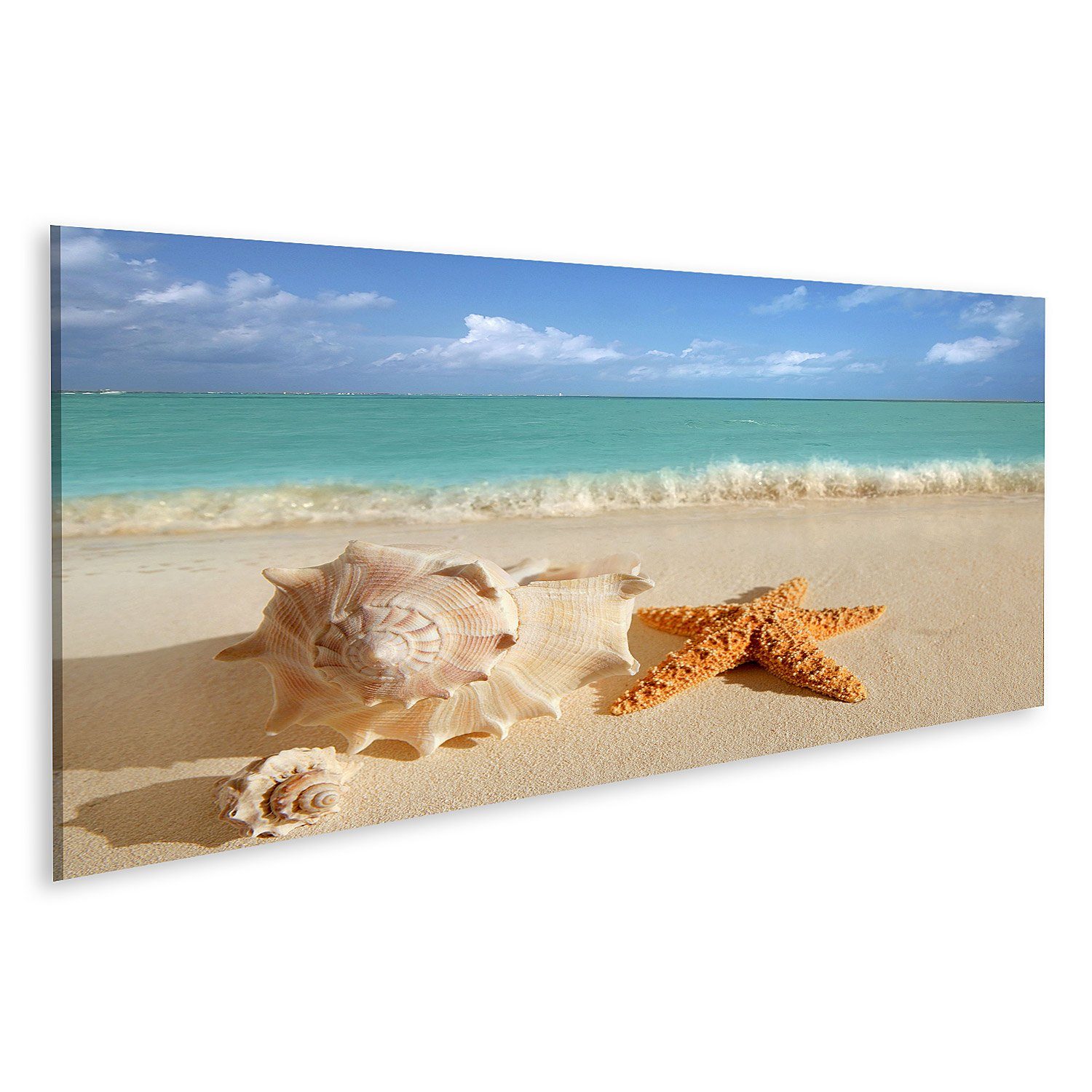 islandburner Leinwandbild Bild auf Leinwand Meer Schalen Seestern Im Tropischen Sand Türkisfarbe