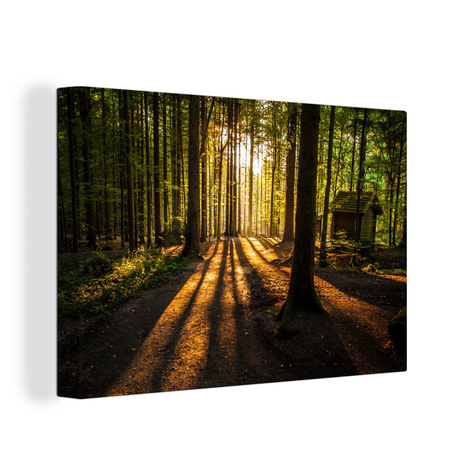 Onemillioncanvasses® Leinwandbild Sonne Bäume Wald Landschaft