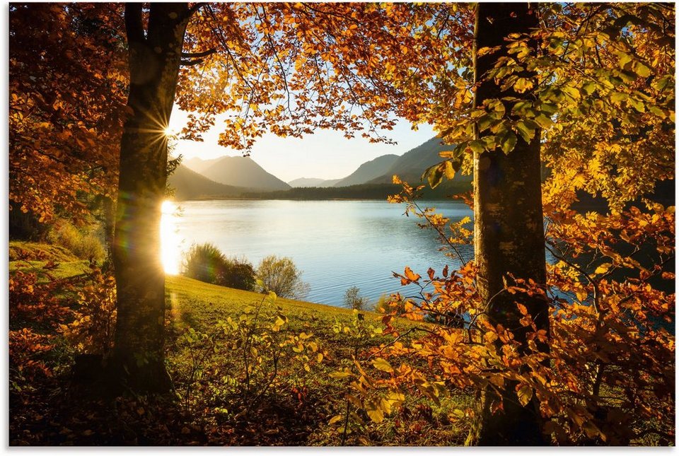 Artland Wandbild Herbst Am Sylvensteinsee Gewässer 1 St Als Alubild