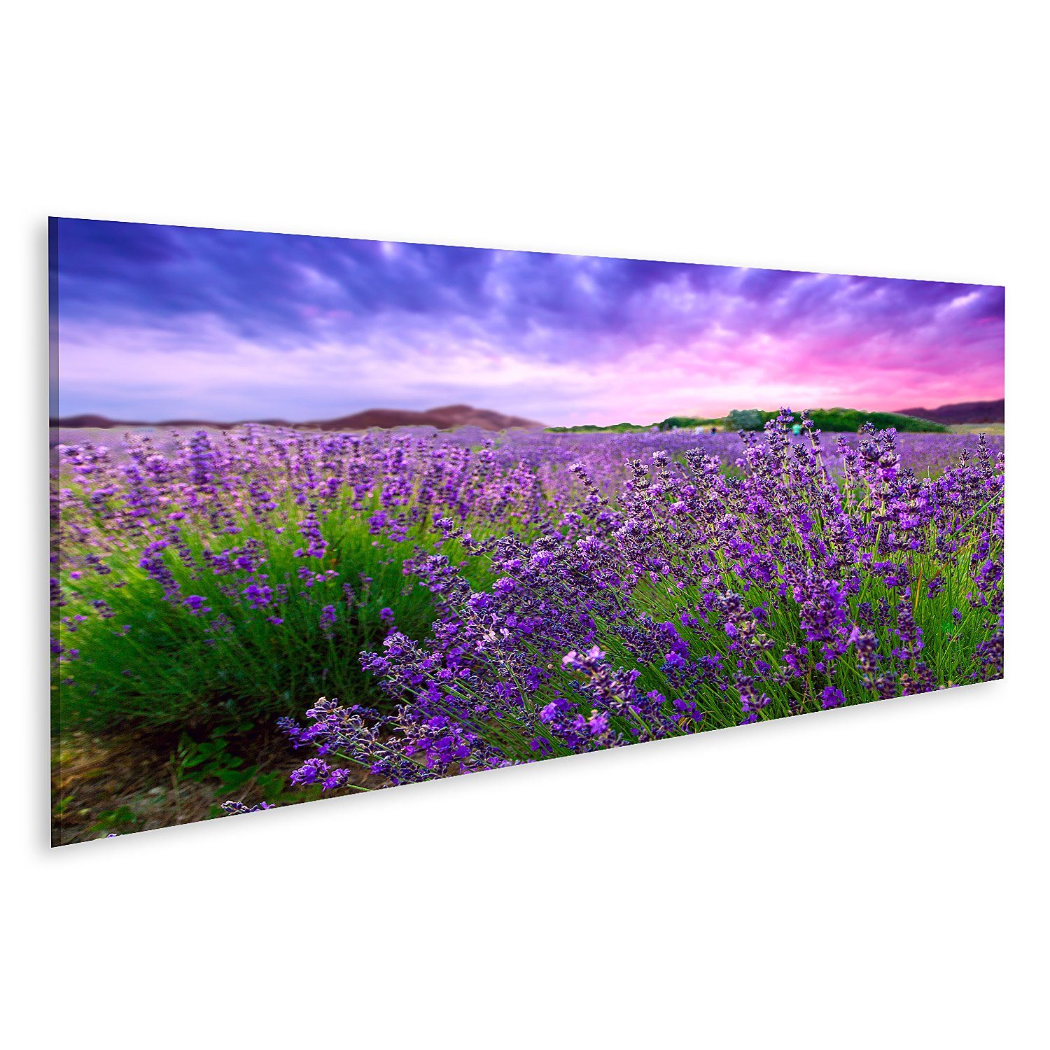 islandburner Leinwandbild »Bild auf Leinwand Sonnenuntergang über einem Lavendelfeld Tihany ...