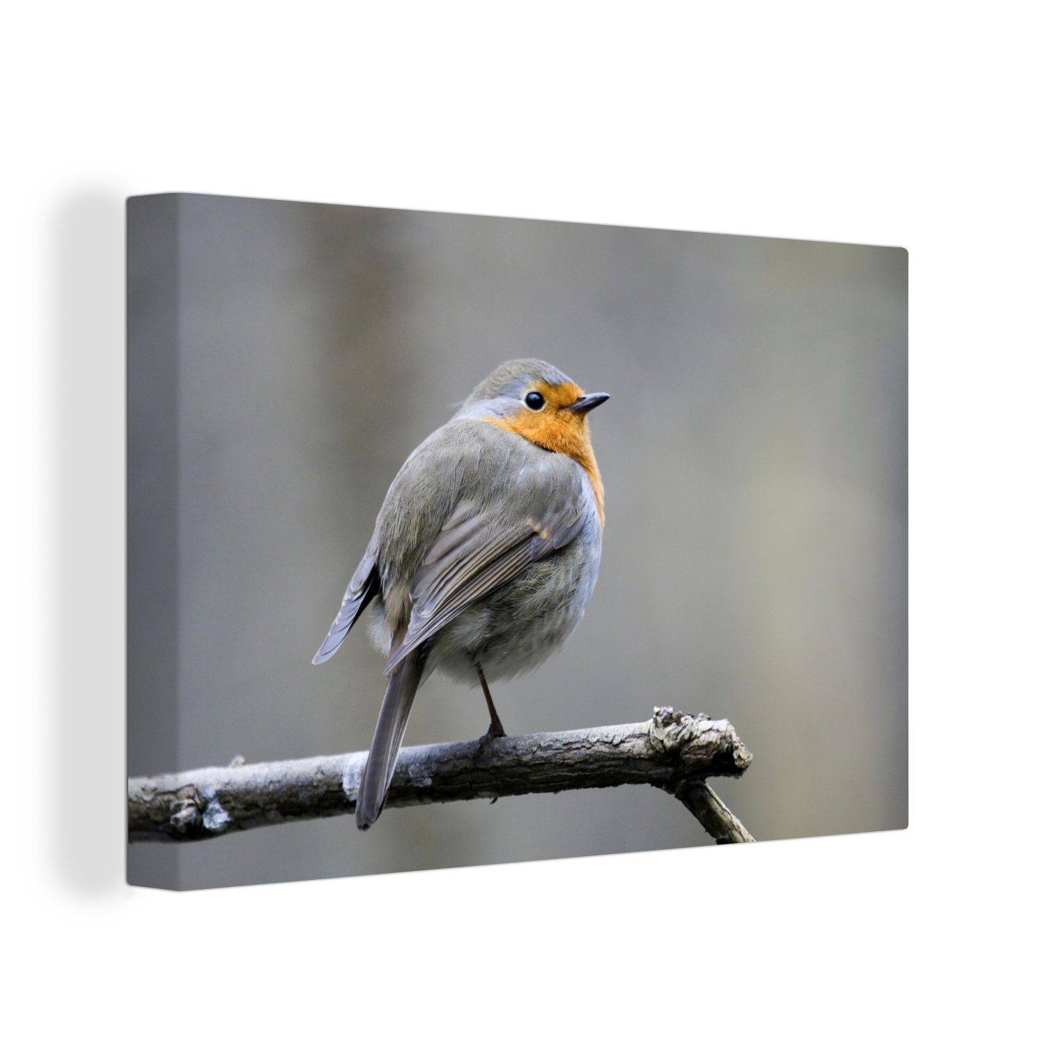Onemillioncanvasses® Leinwandbild Rotkehlchen Zweig Winter 1 St