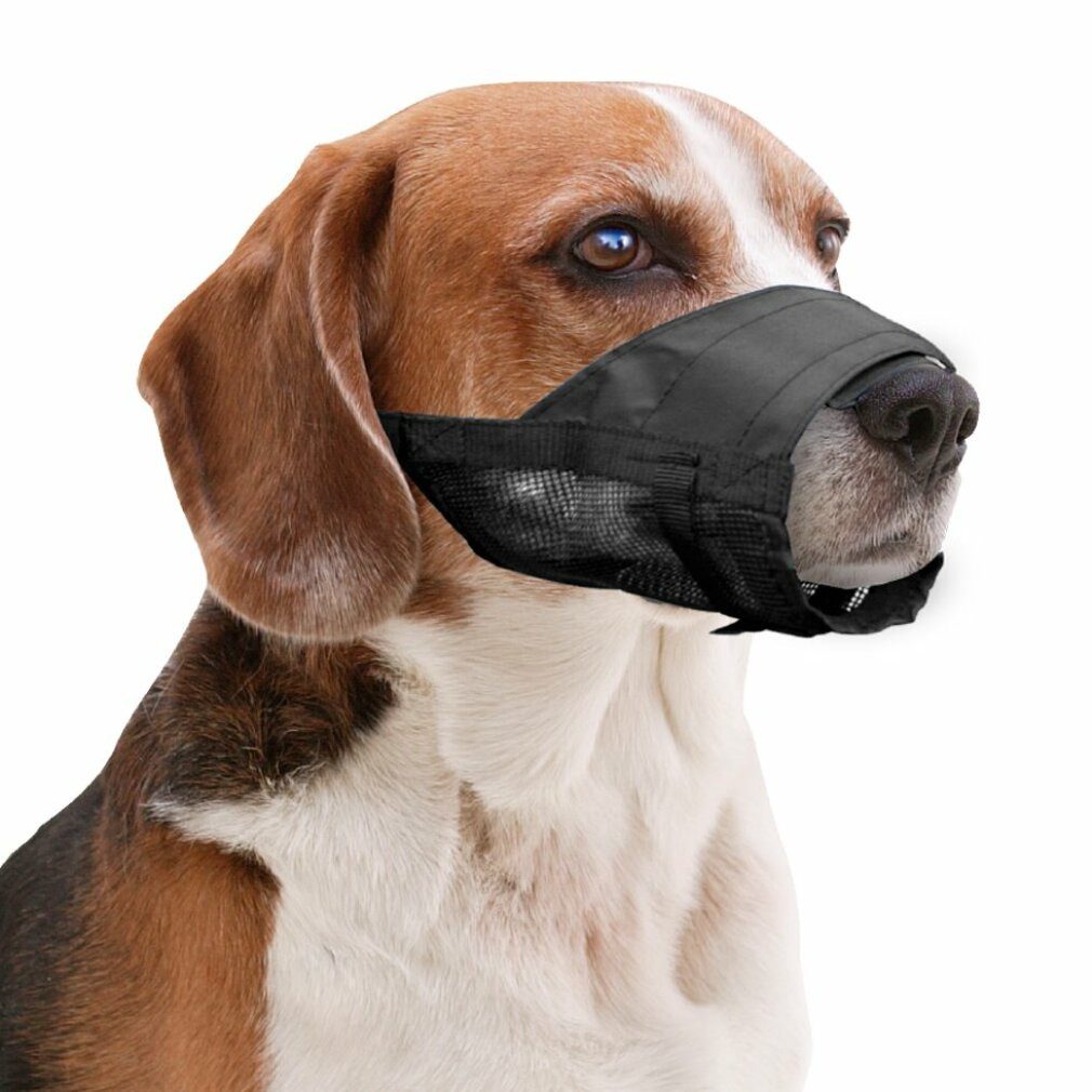 Pawise Maulkorb Muzzle Adjustable S, Ideal für kurzen Gebrauch ...