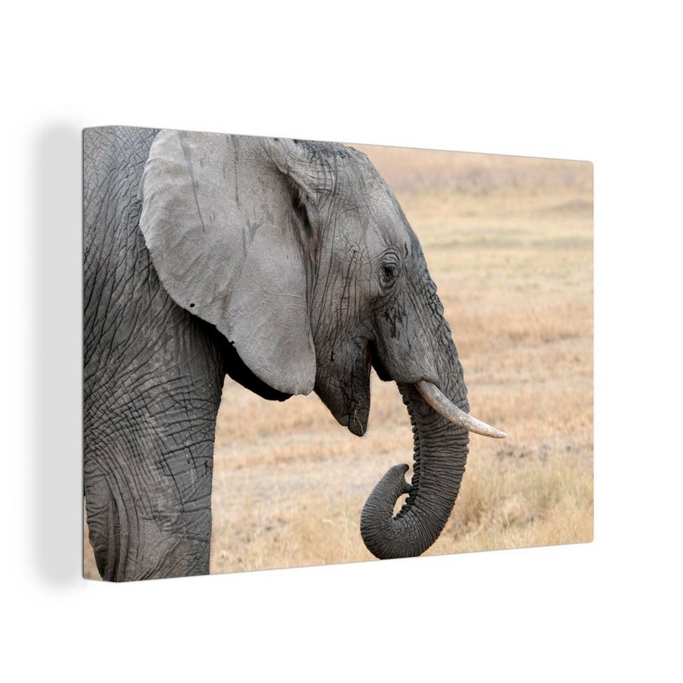 Onemillioncanvasses® Leinwandbild Nahaufnahme Eines Elefanten Mit